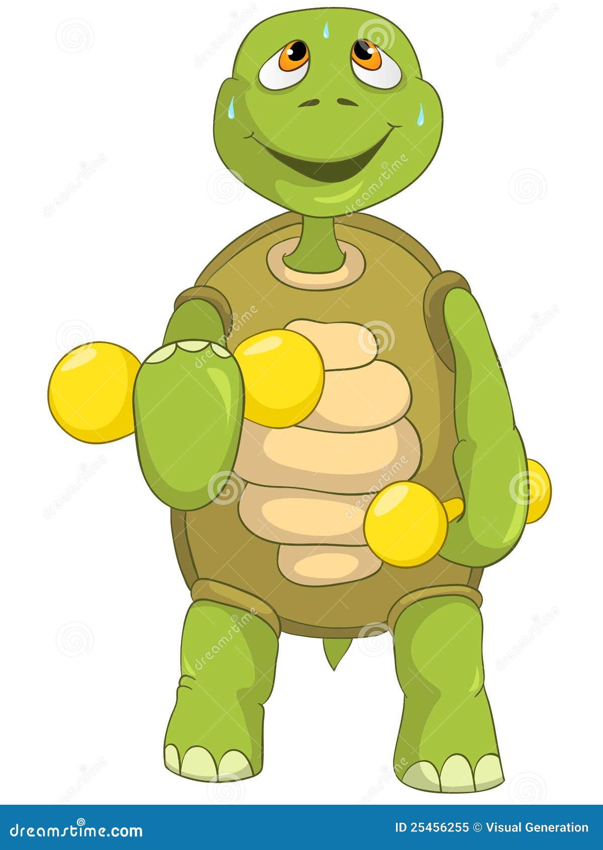 Funny Turtle. Gym. stock vector. Illustration of caricature - 25456255