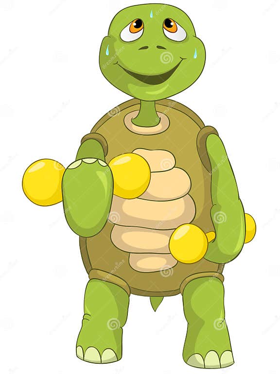 Funny Turtle. Gym. stock vector. Illustration of caricature - 25456255