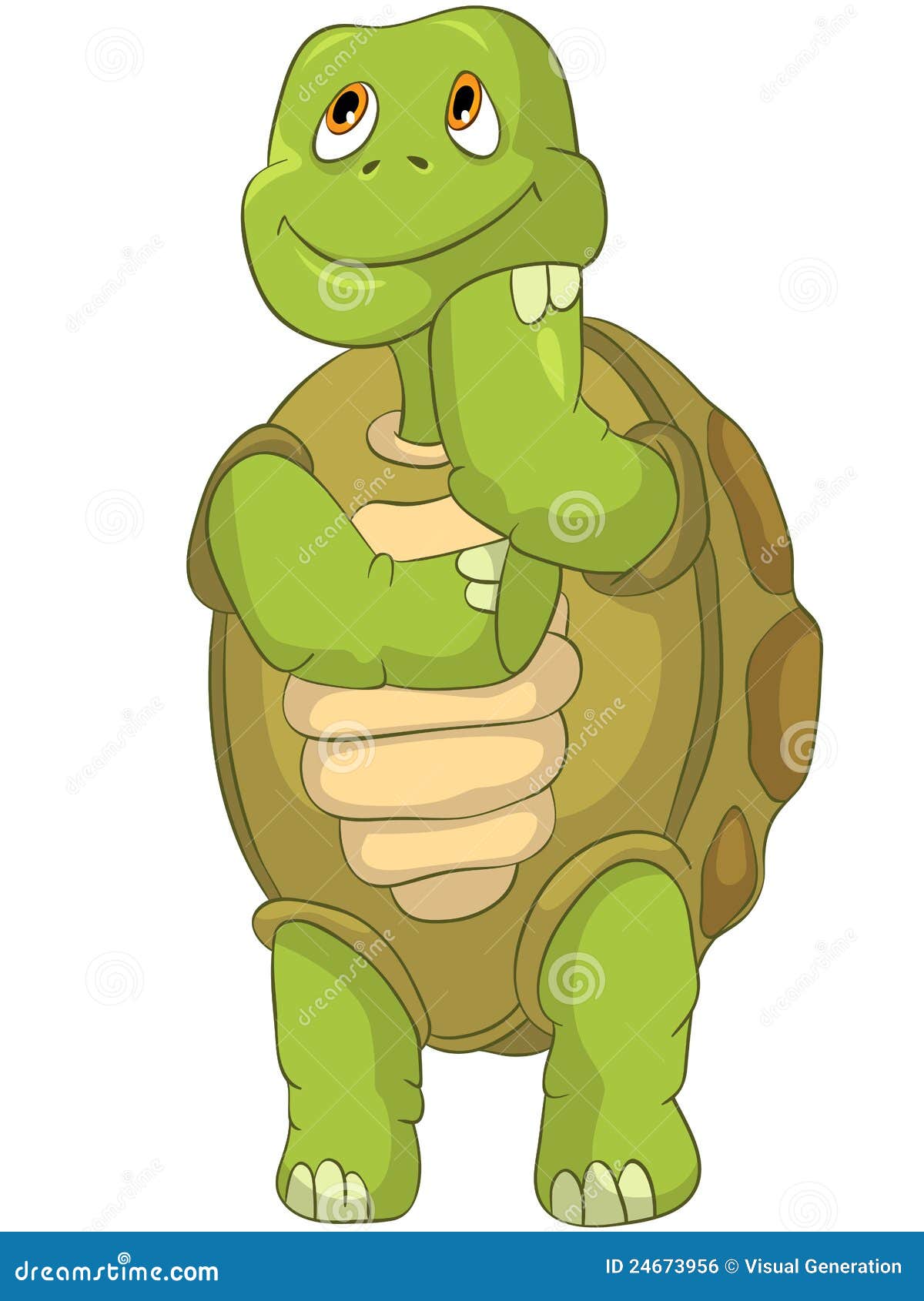 Funny Looking Turtles