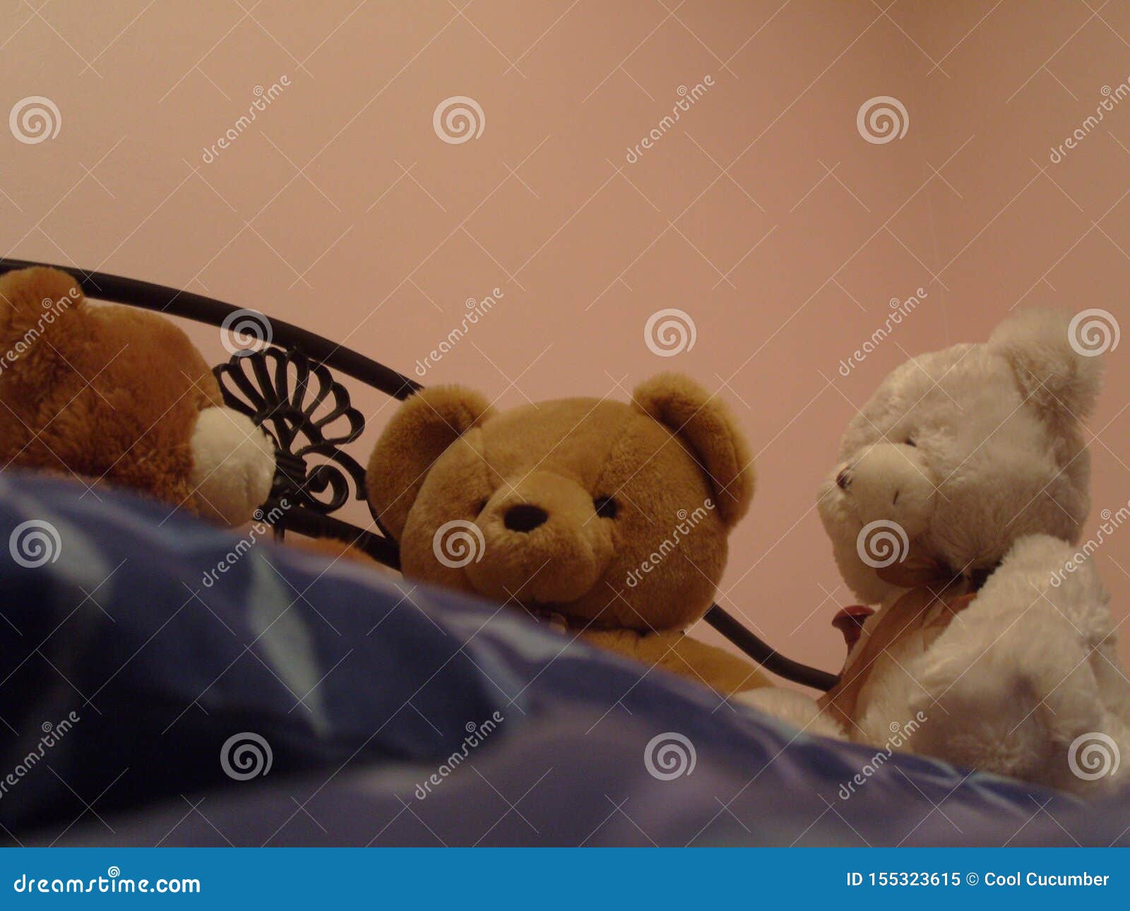 Three Teddy Bears Isolated On White - Concept For Happy Family. Stock ...