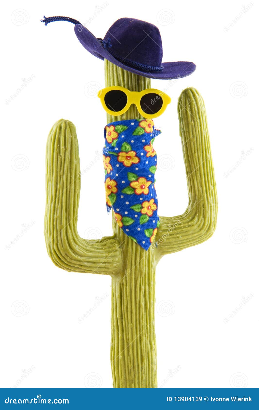 Funny wild west cactus stock image. Image of studio, plant - 13904139