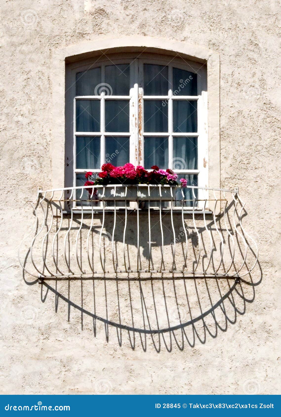 Funny window stock image. Image of home, wall, flower, funny - 28845