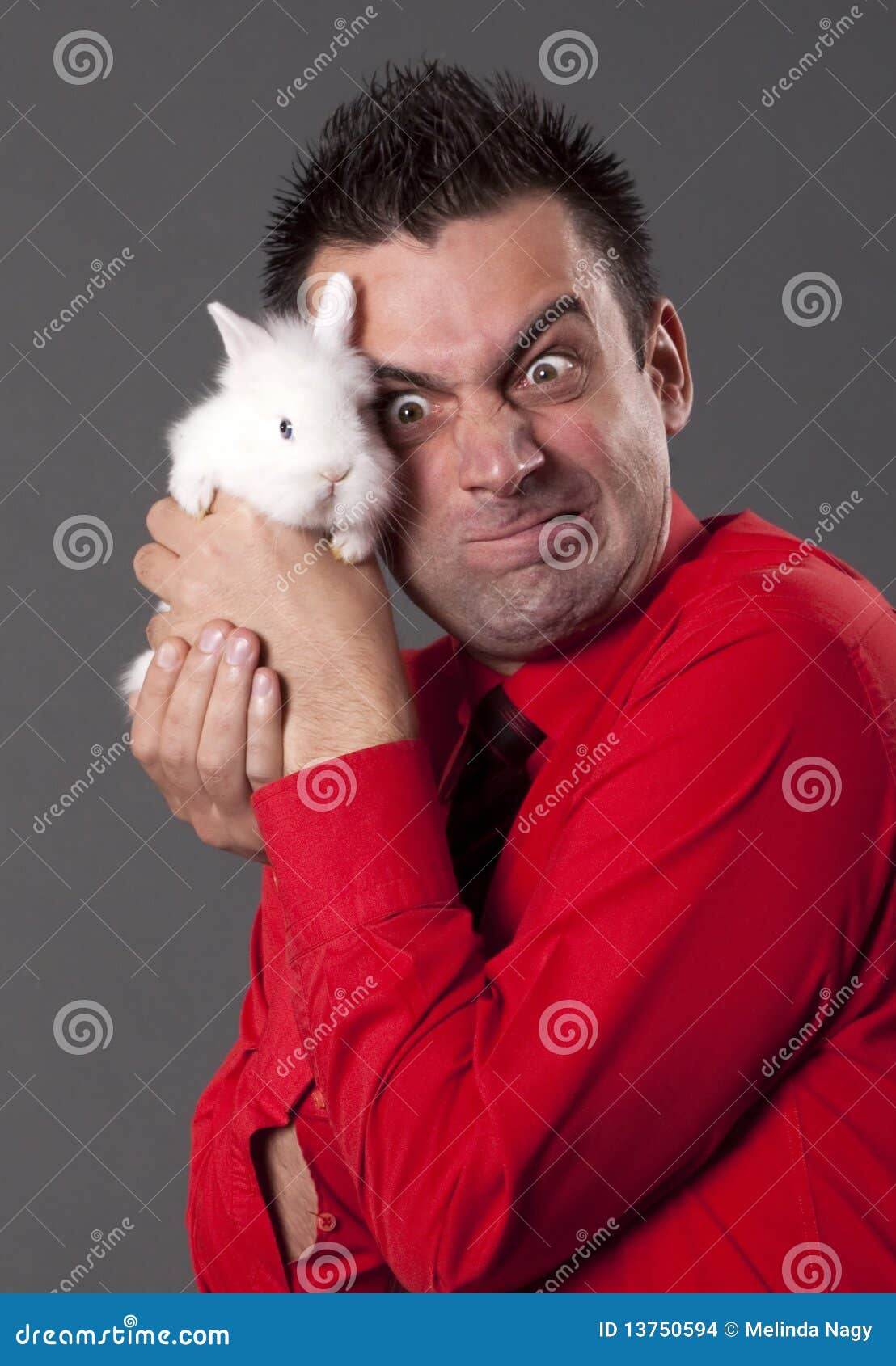 Funny Young Man Holding White Rabbit Stock Photo - Image of white ...