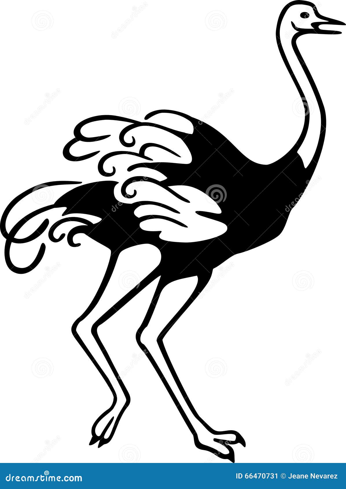 Funzionamento Dello Struzzo Illustrazione Vettoriale - Illustrazione di ...