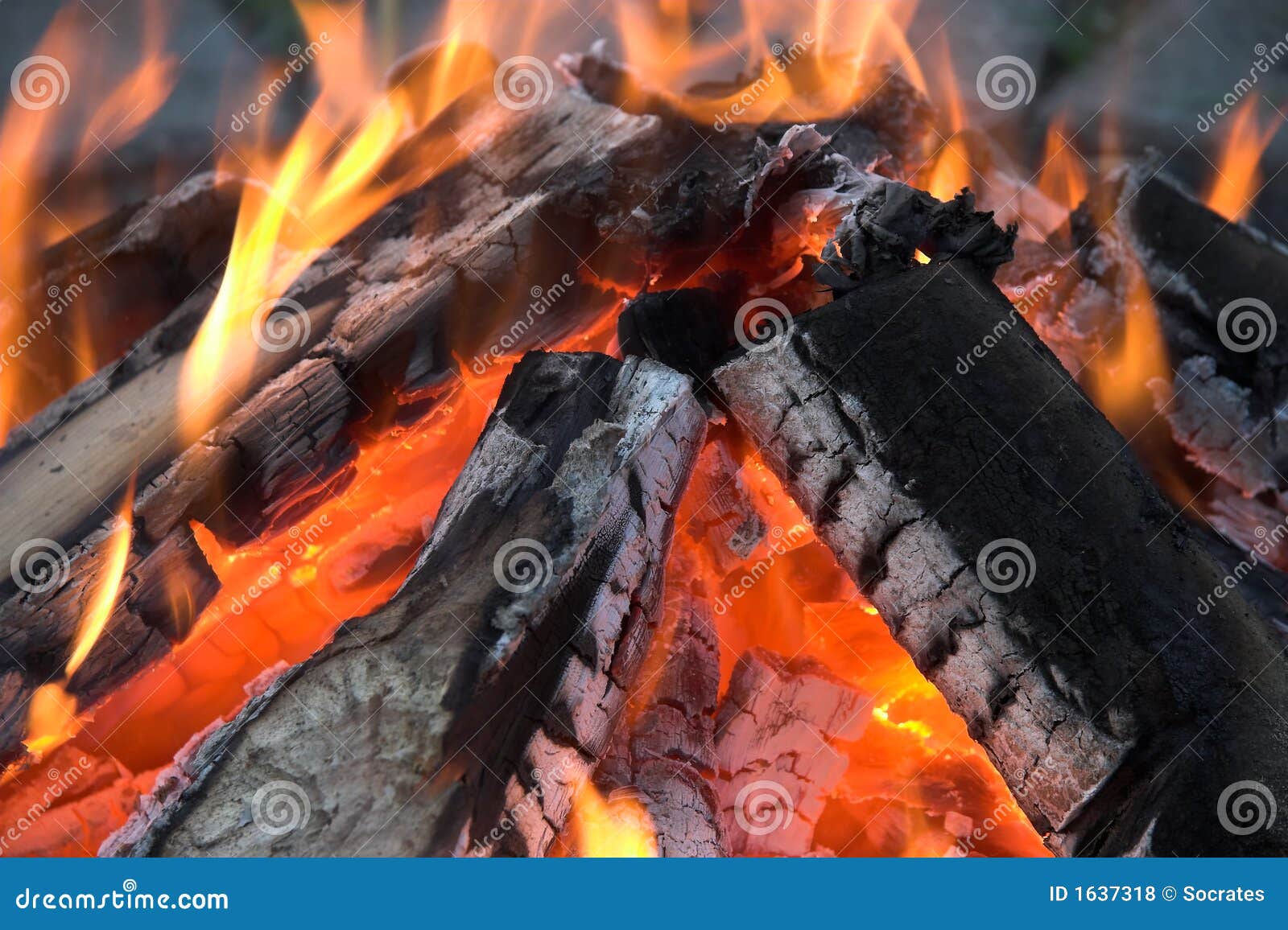 Fuoco fotografia stock. Immagine di ardere, comportamento - 1637318