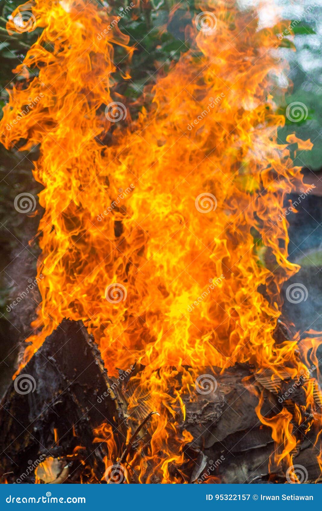 Fuoco immagine stock. Immagine di albero, autunno, viaggio - 95322157