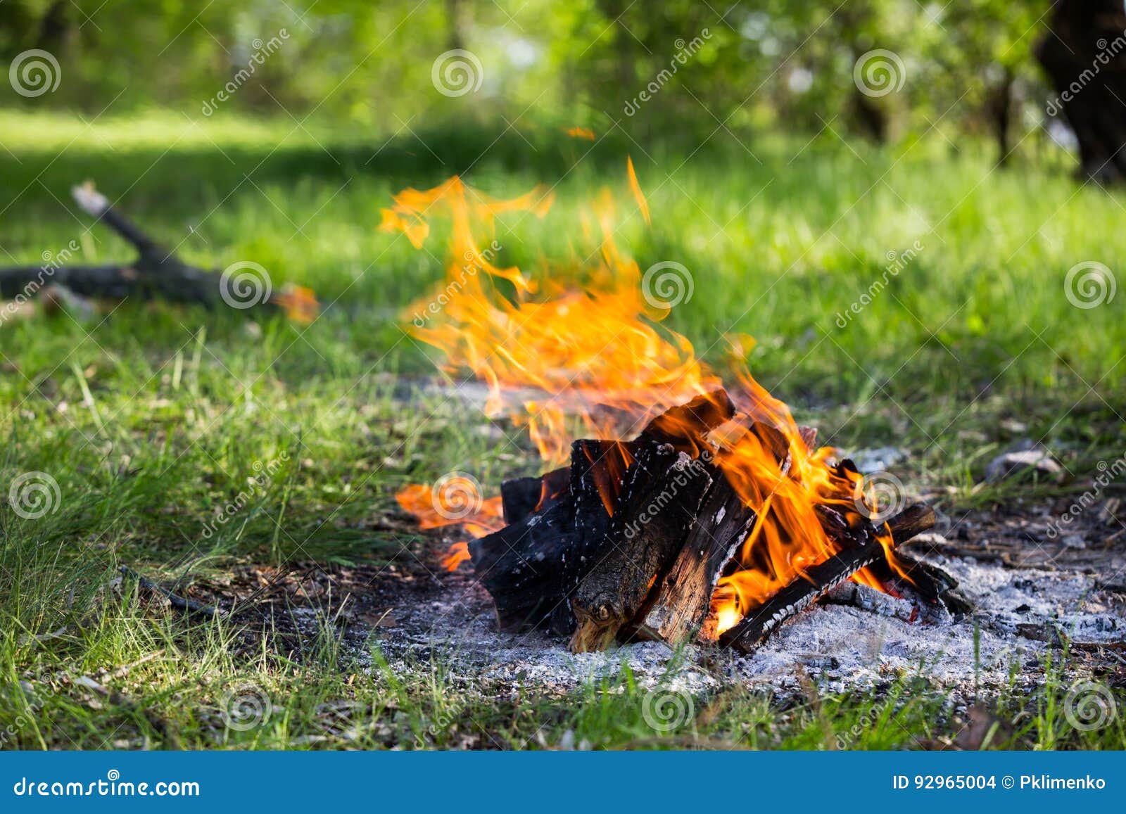 Fuoco Caldo Sul Prato in Foresta Fotografia Stock - Immagine di ...