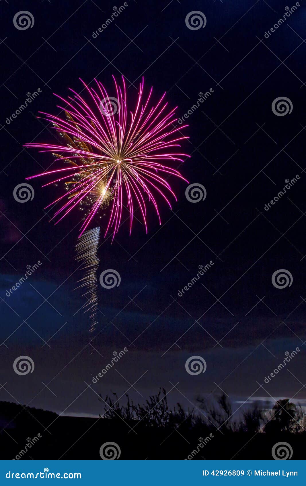 Fuoco d'artificio rosa immagine stock. Immagine di rosa - 42926809