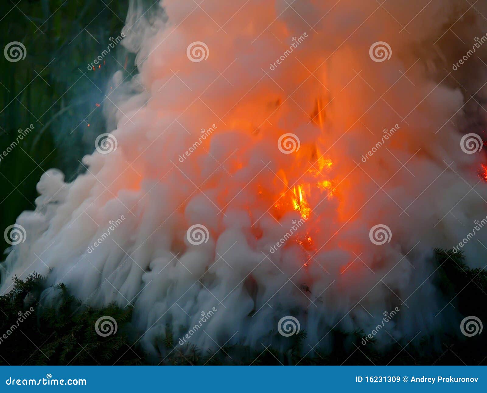 Fuoco. Un fumo. immagine stock. Immagine di assicurazione - 16231309