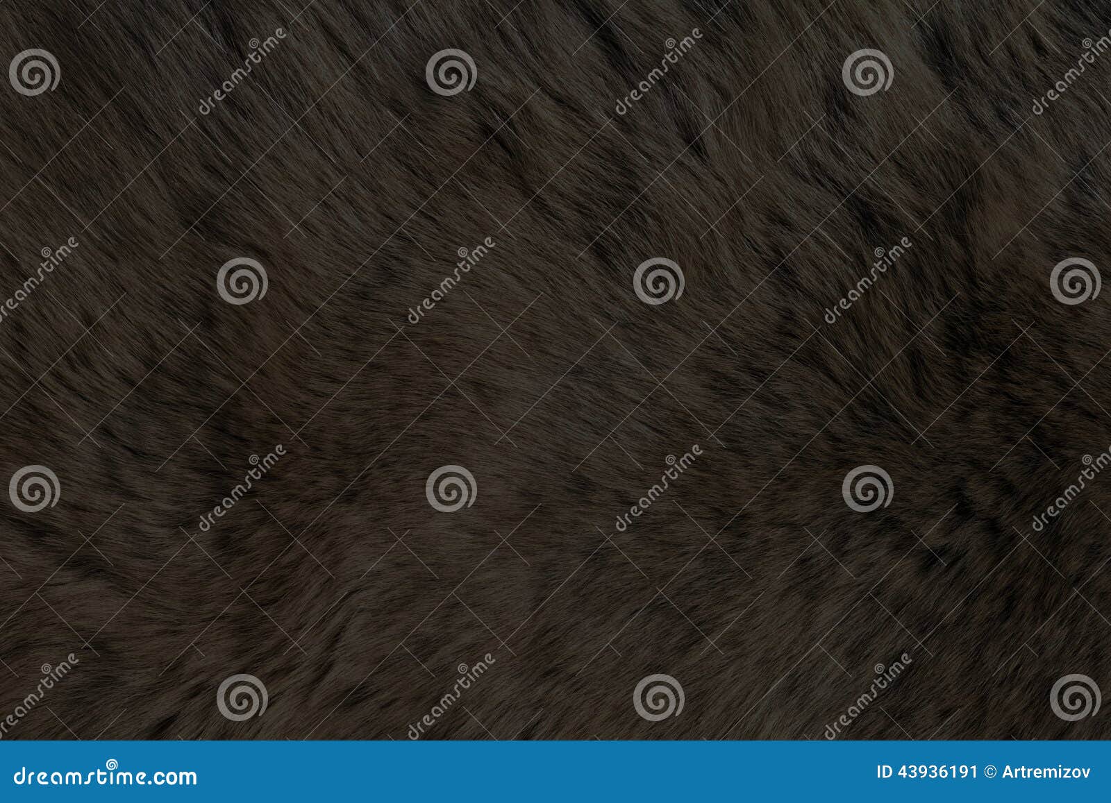 Fur Animal Textures, Bear Black Stock Image - Image of surfaces ...