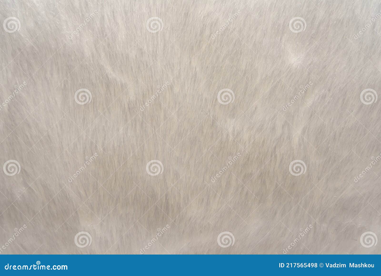 Artificial Fur. Background of a Piece of Fur in Light Gray Color Close ...