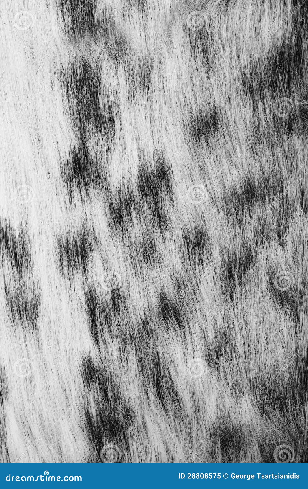 Fur background stock image. Image of close, collection - 28808575