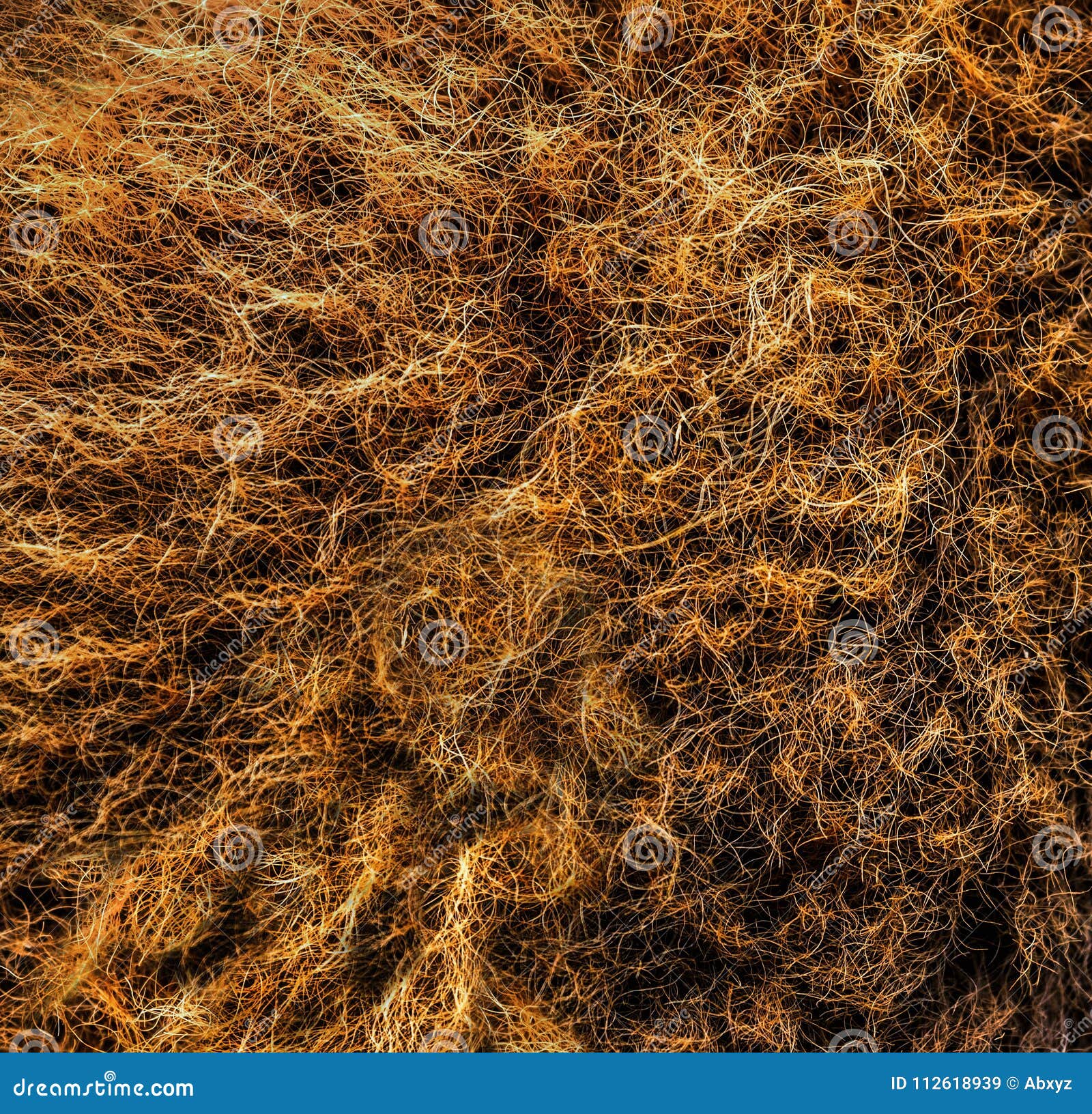 2,393 Buffalo Fur Background Stock Photos - Free & Royalty-Free Stock ...