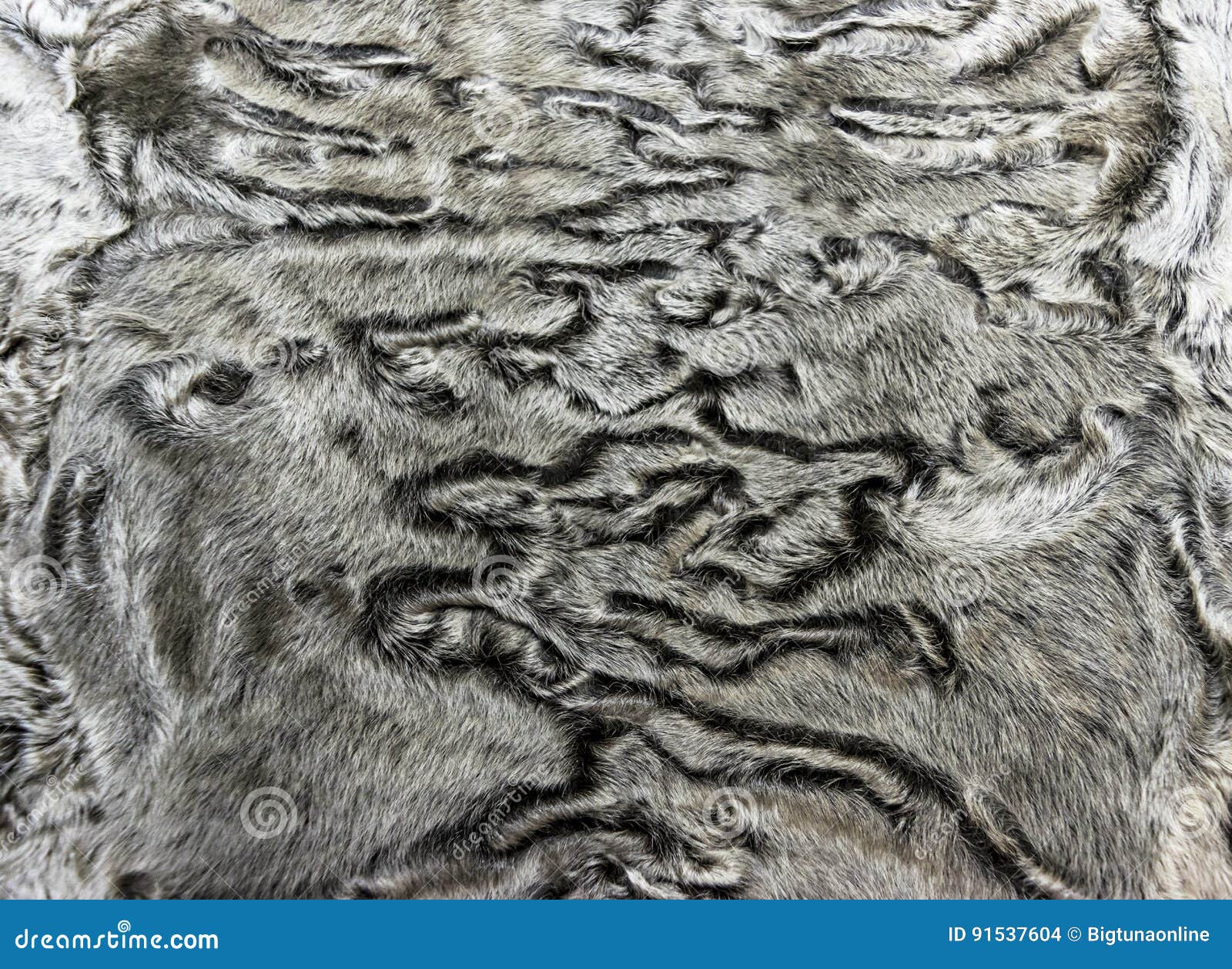 The Fur is Black Karakul Lambskin Texture, Background Stock Photo ...