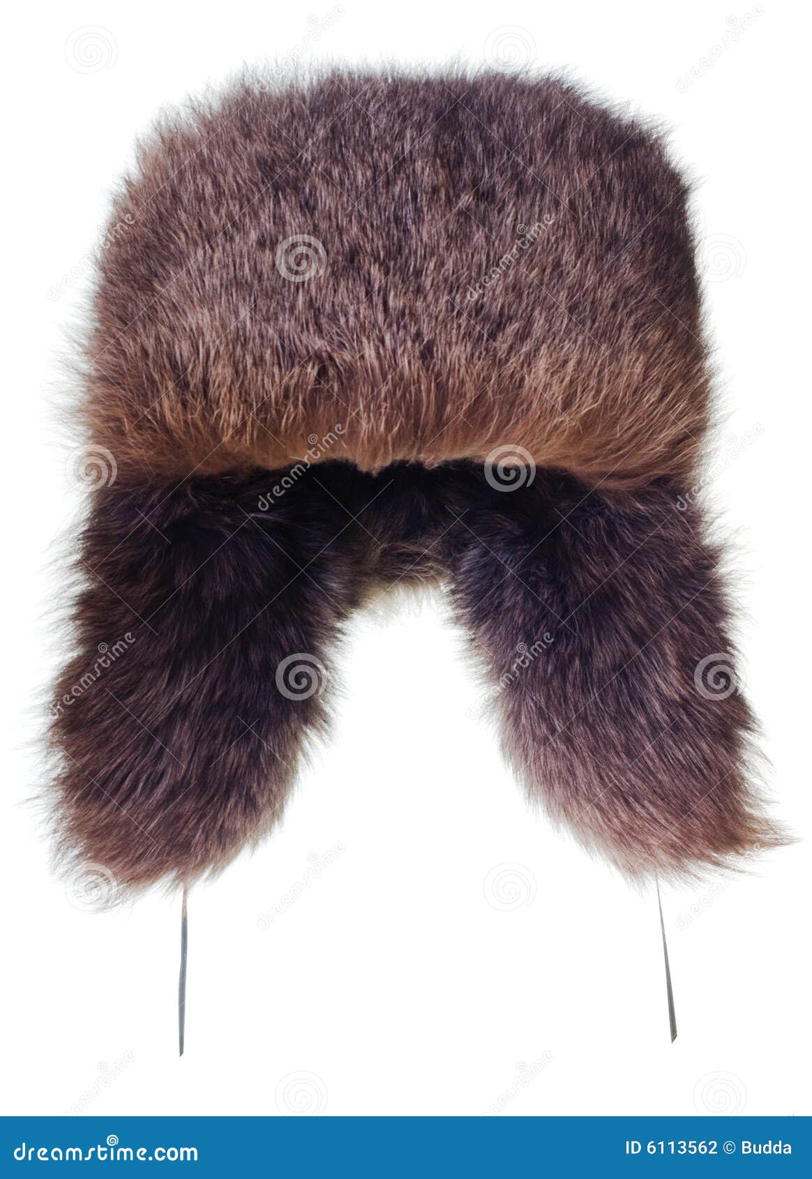 656 Beaver Cap Stock Photos - Free & Royalty-Free Stock Photos from ...