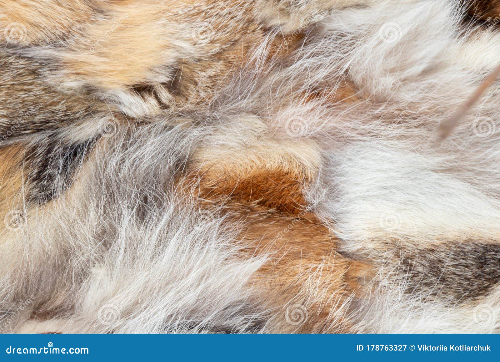 Fur Coat from Pieces of Fur of Different Animals As a Background ...