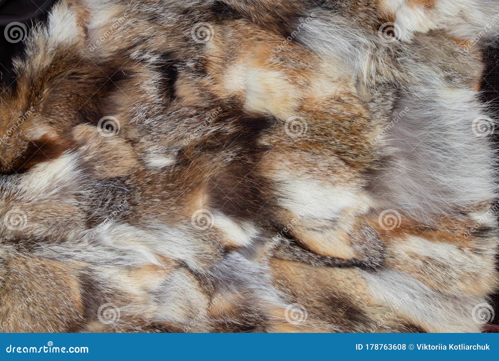 Fur Coat from Pieces of Fur of Different Animals As a Background ...