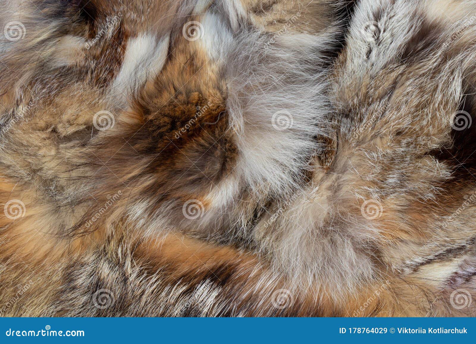 Fur Coat from Pieces of Fur of Different Animals As a Background ...