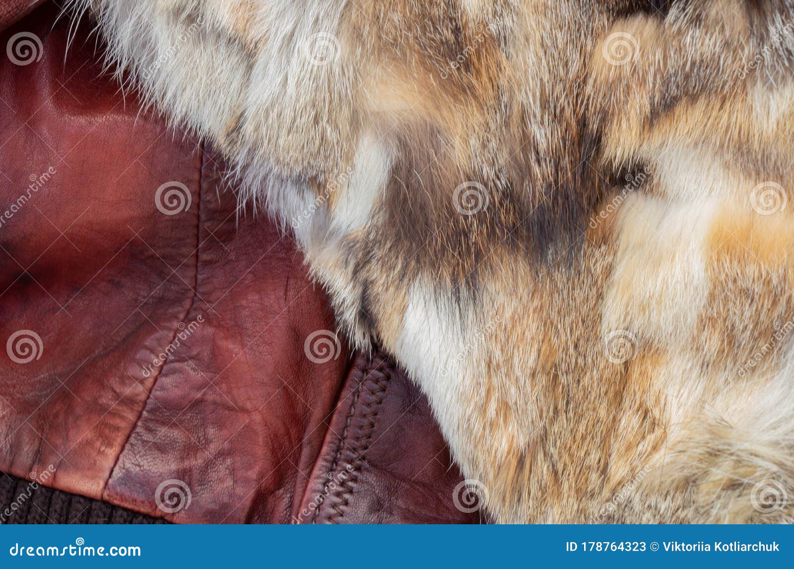 Fur Coat from Pieces of Fur of Different Animals As a Background ...