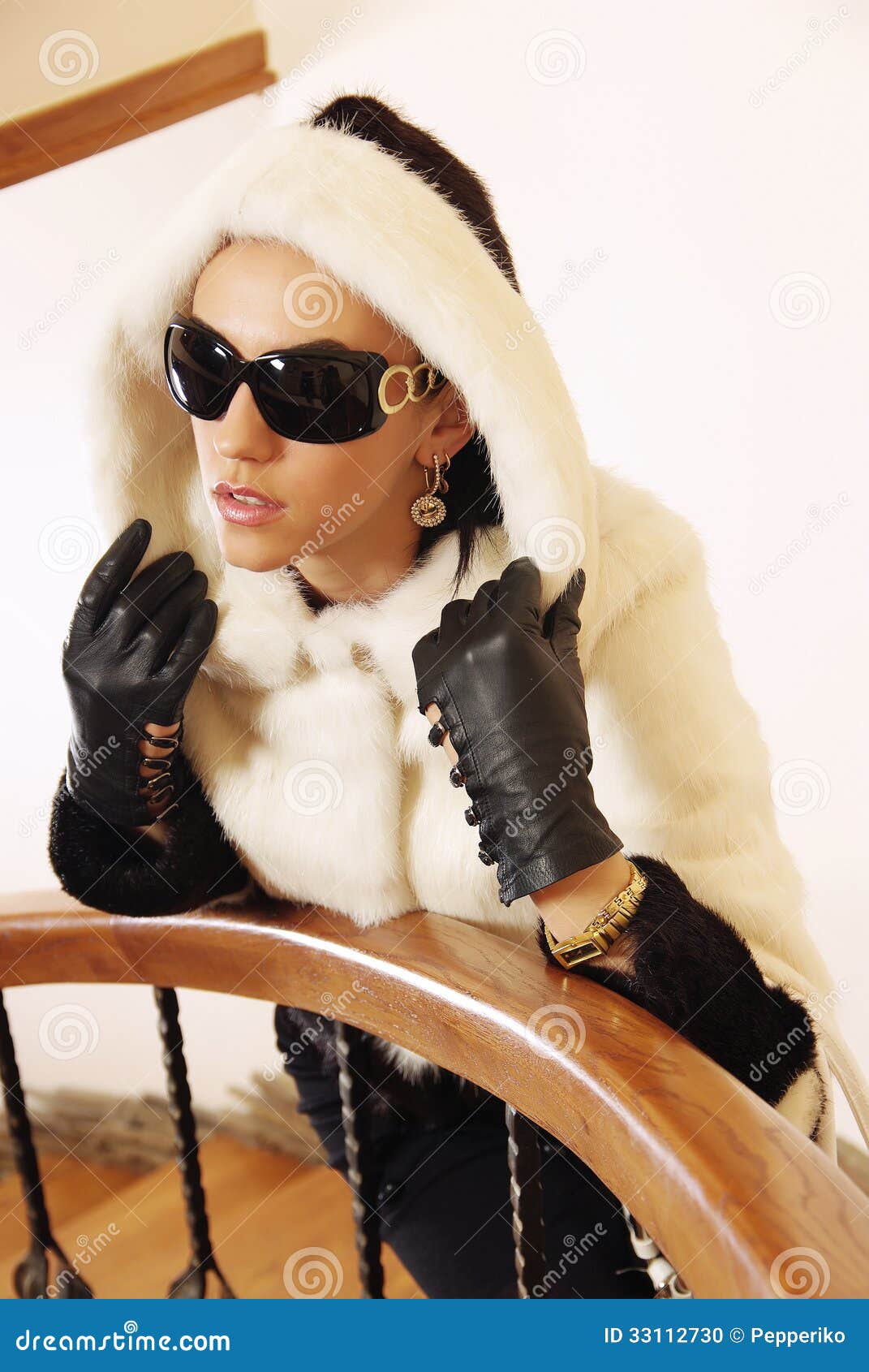 Fur collection stock photo. Image of inside, pose, female - 33112730