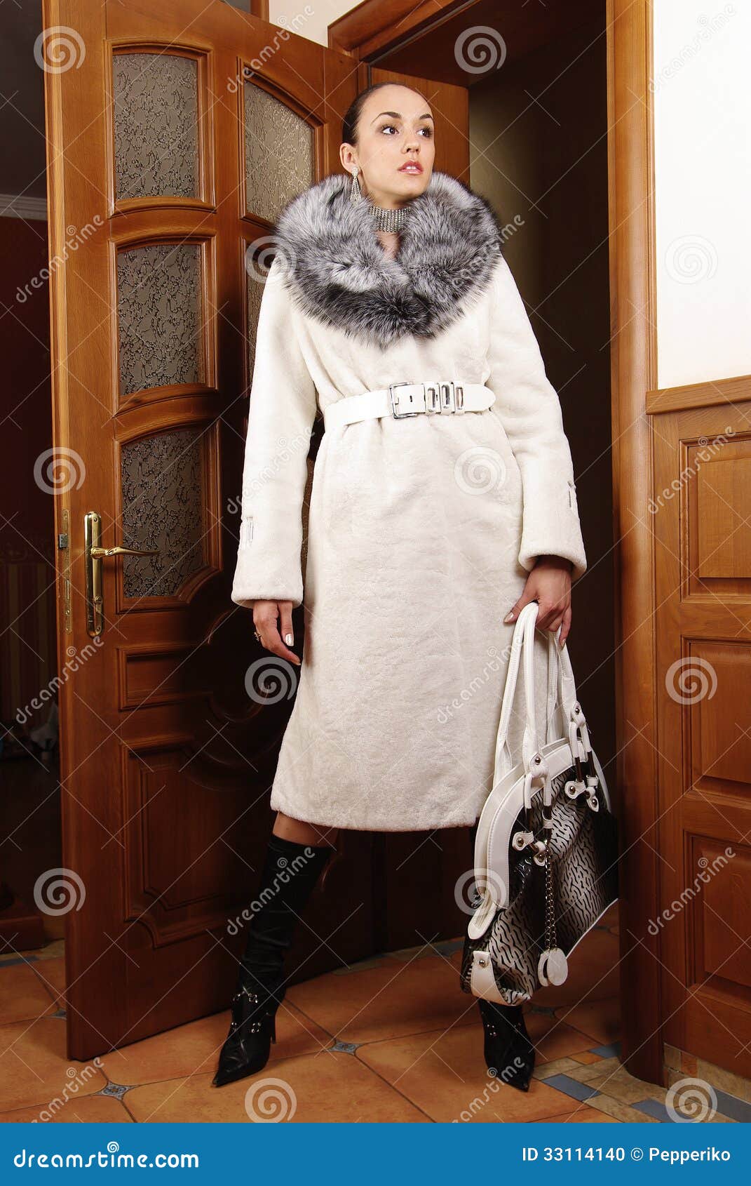 Fur collection stock photo. Image of clothing, pose, modern - 33114140