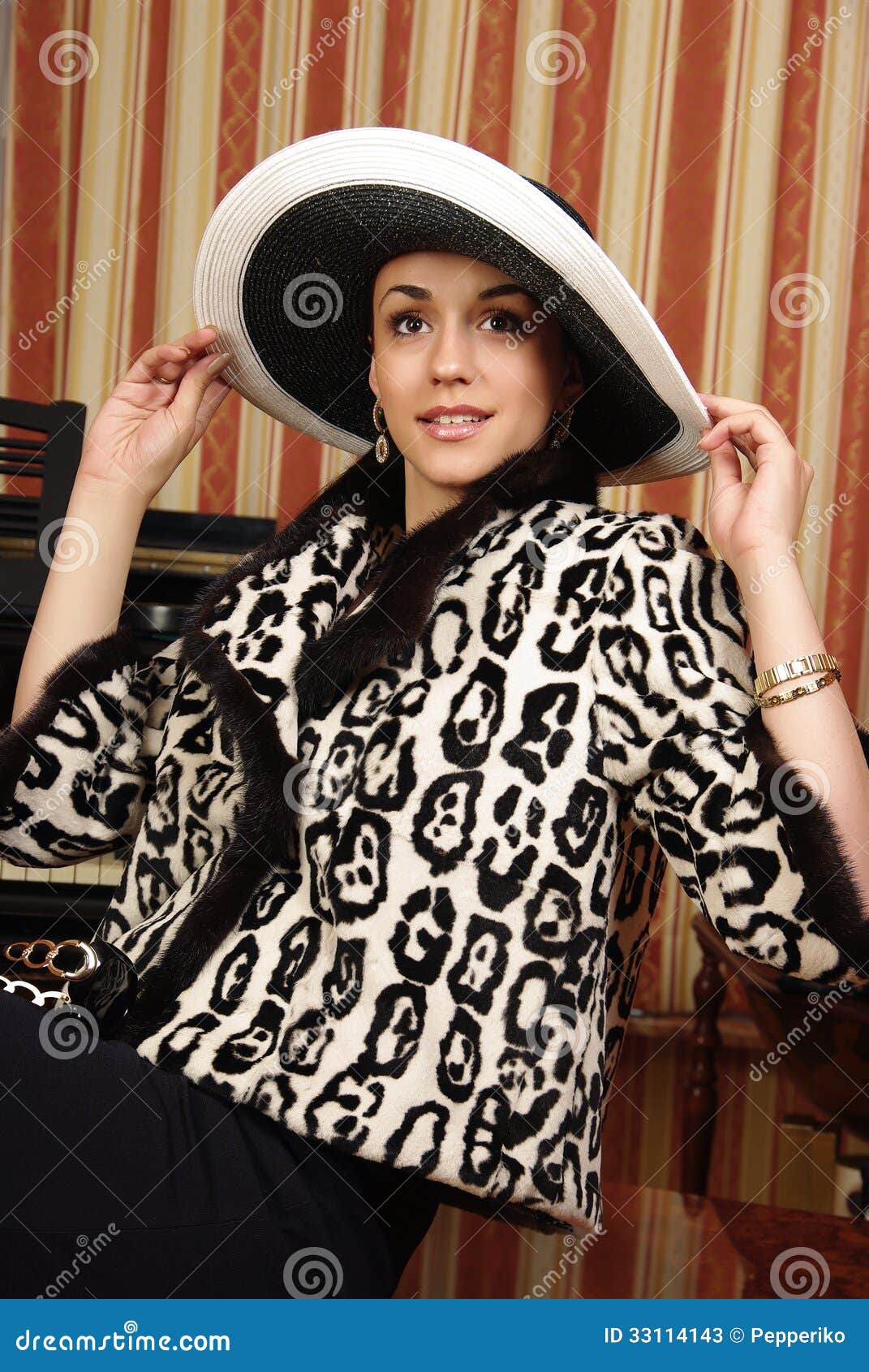 Fur collection stock image. Image of female, person, black - 33114143