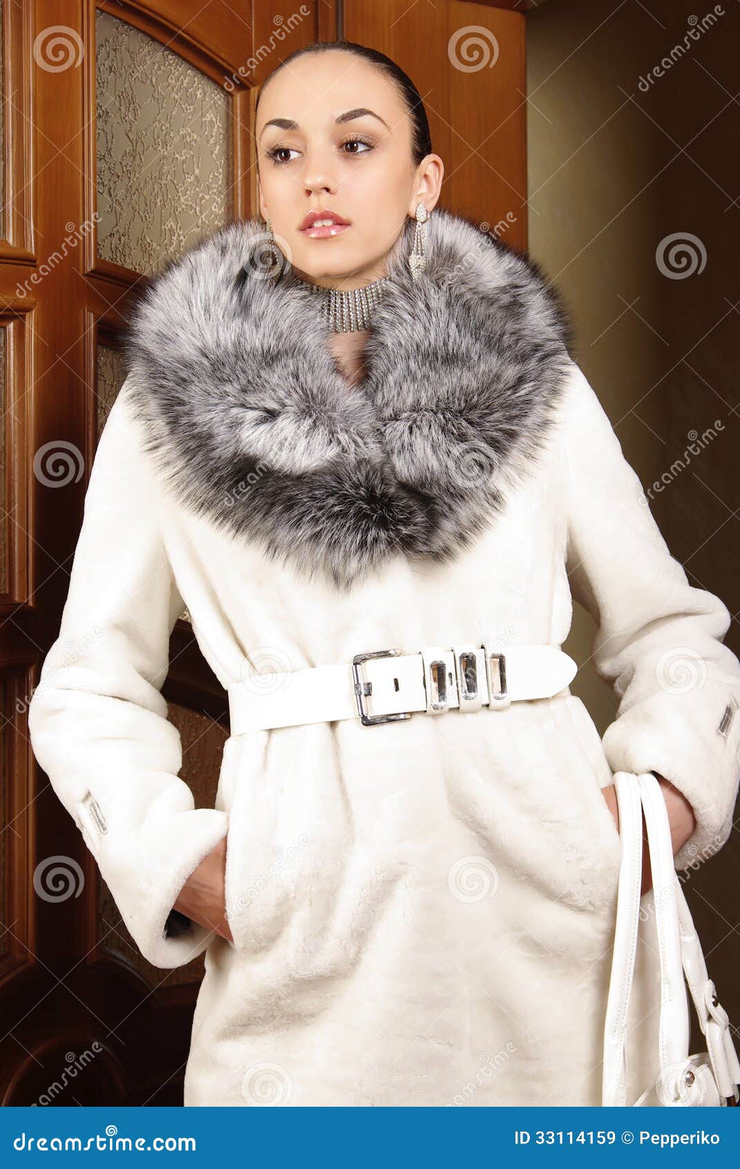 Fur collection stock image. Image of hair, high, clothing - 33114159