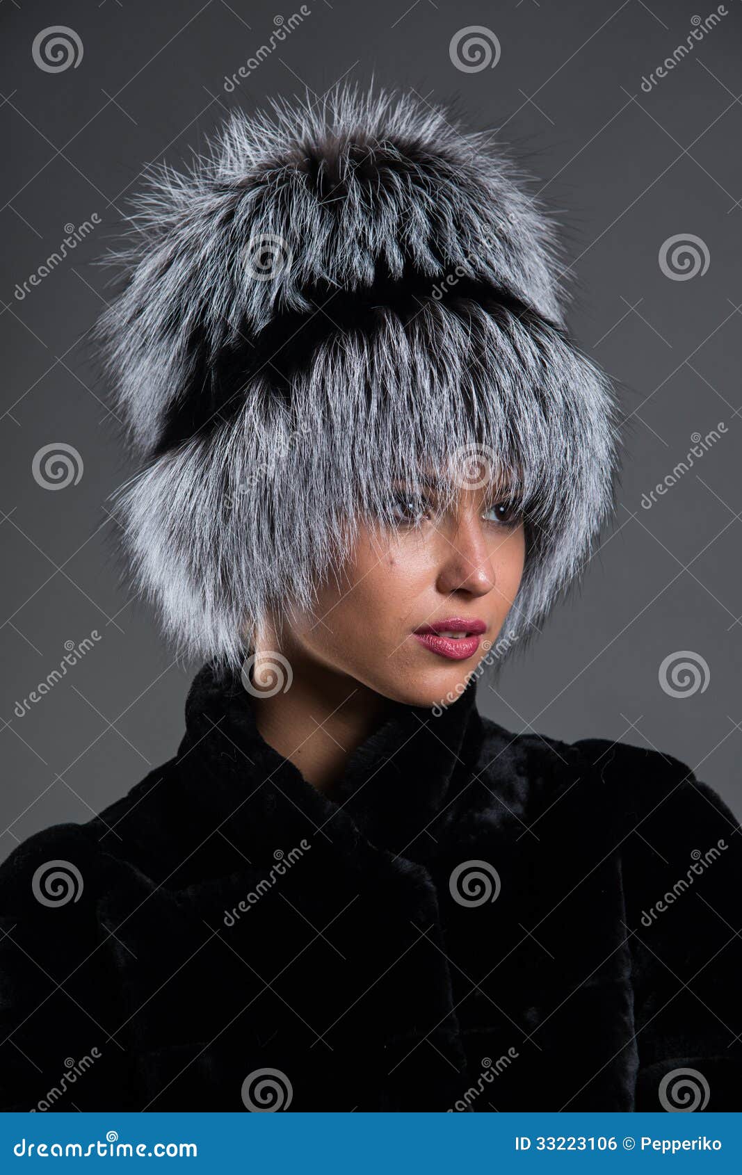 Fur collection stock photo. Image of head, cosmetic, body - 33223106
