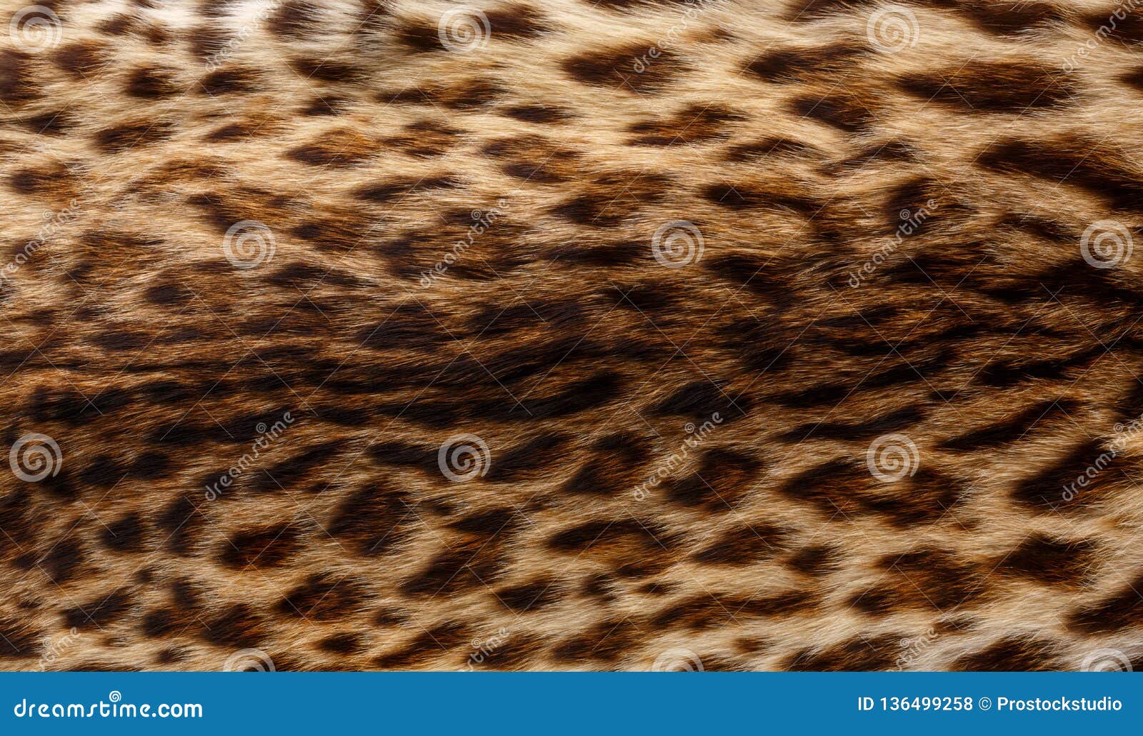 Leopard Print Pattern, Fabric Texture, Background Effect, Leopard ...