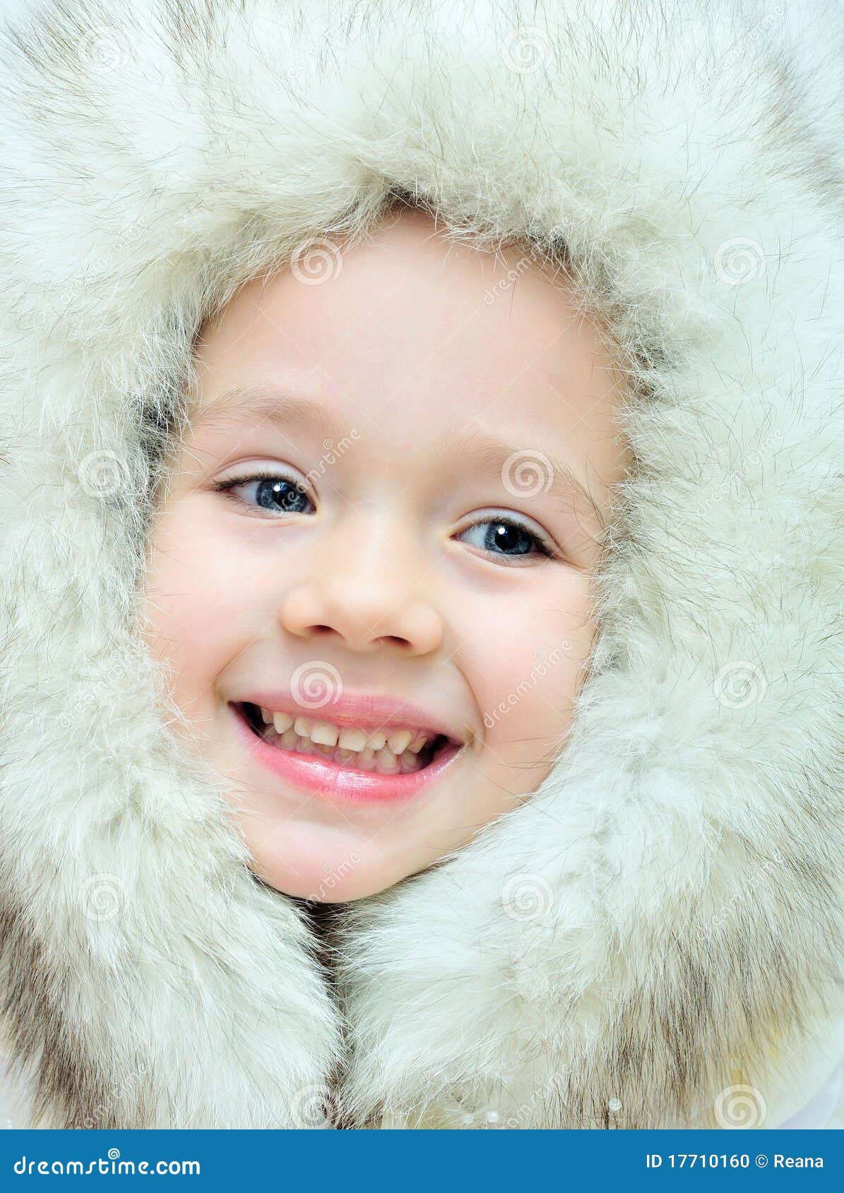 Fur portrait stock photo. Image of cheerful, face, cold - 17710160