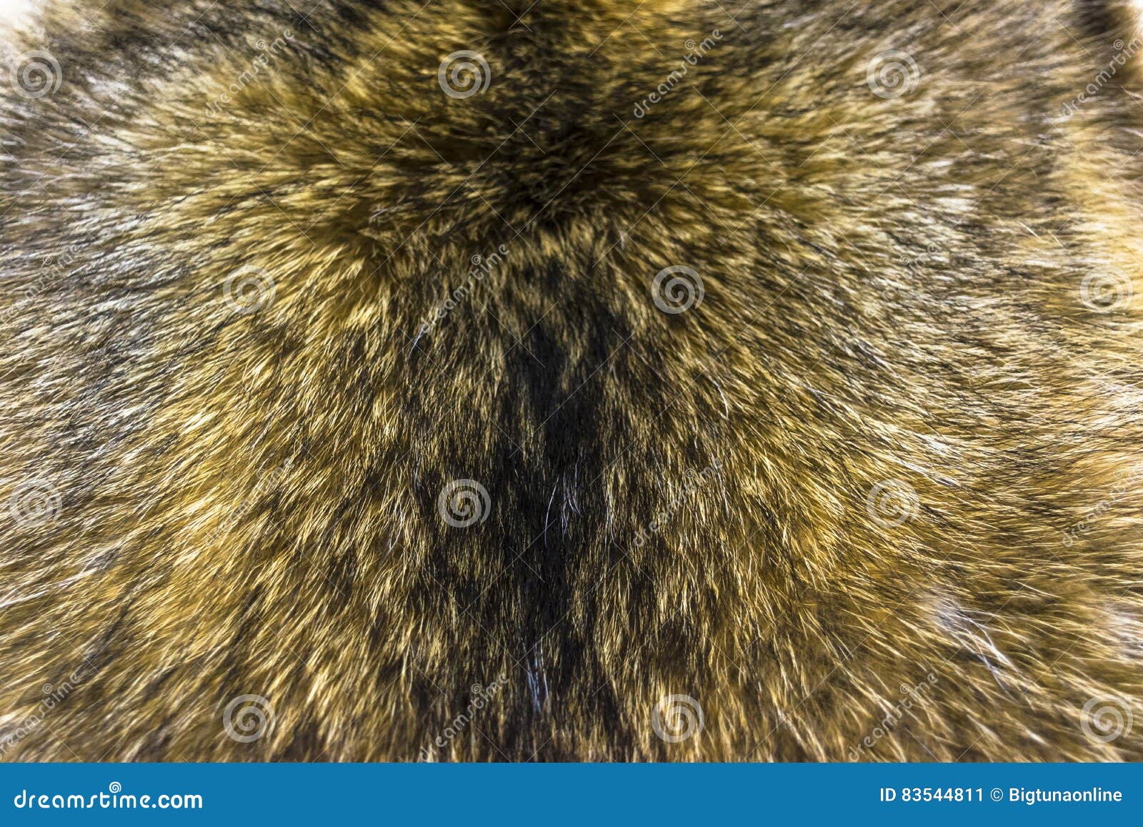 Fur Red Fox, Long Beautiful Nap. Texture, Background Stock Image ...