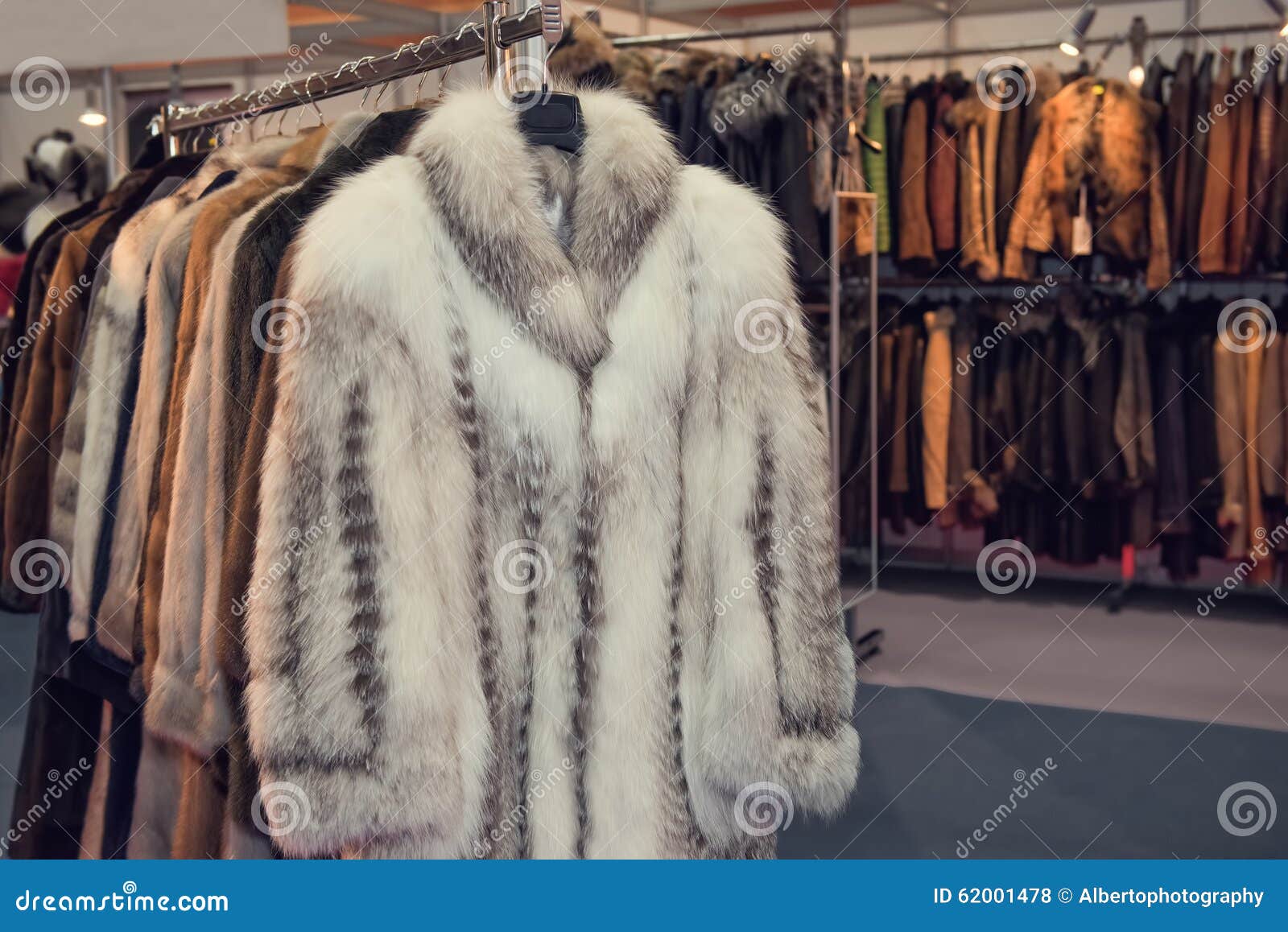 Fur shop stock photo. Image of coat, beauty, garments - 62001478