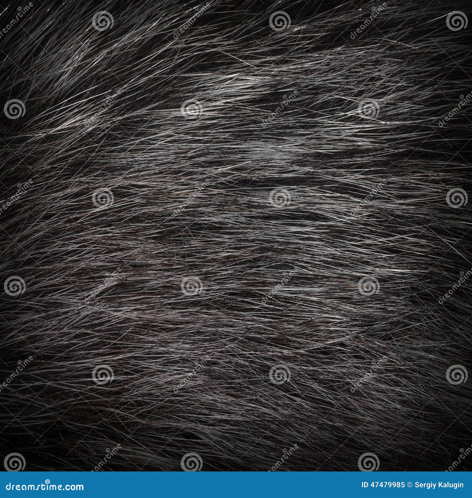 Fur structure stock image. Image of close, africa, clothing - 47479985