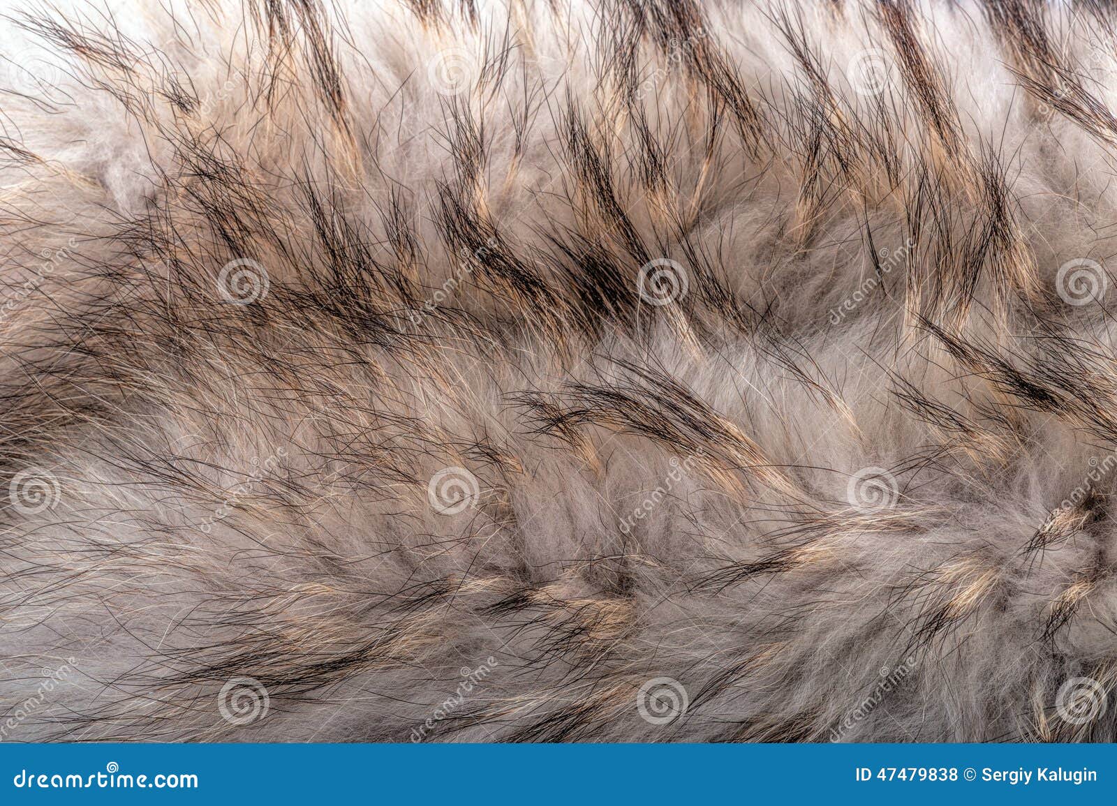 Fur structure stock photo. Image of background, fluffy - 47479838