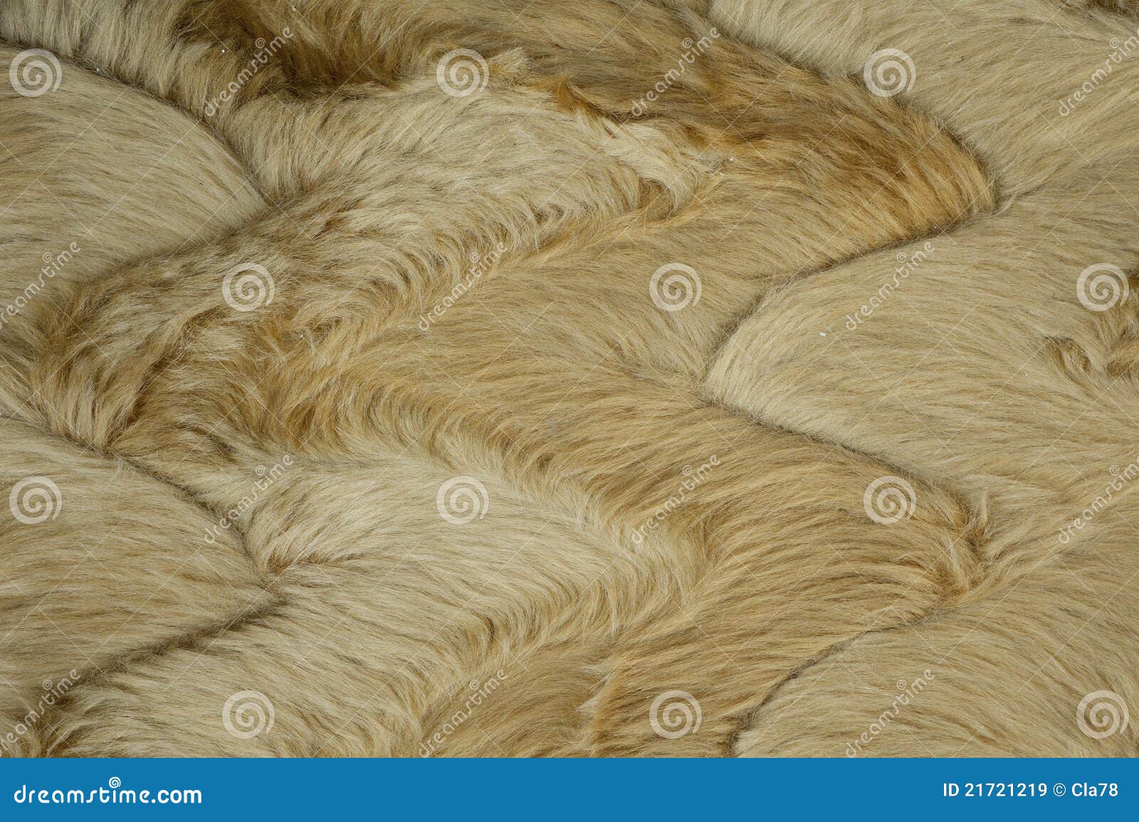 Fur texture stock image. Image of hair, pelt, pattern - 21721219