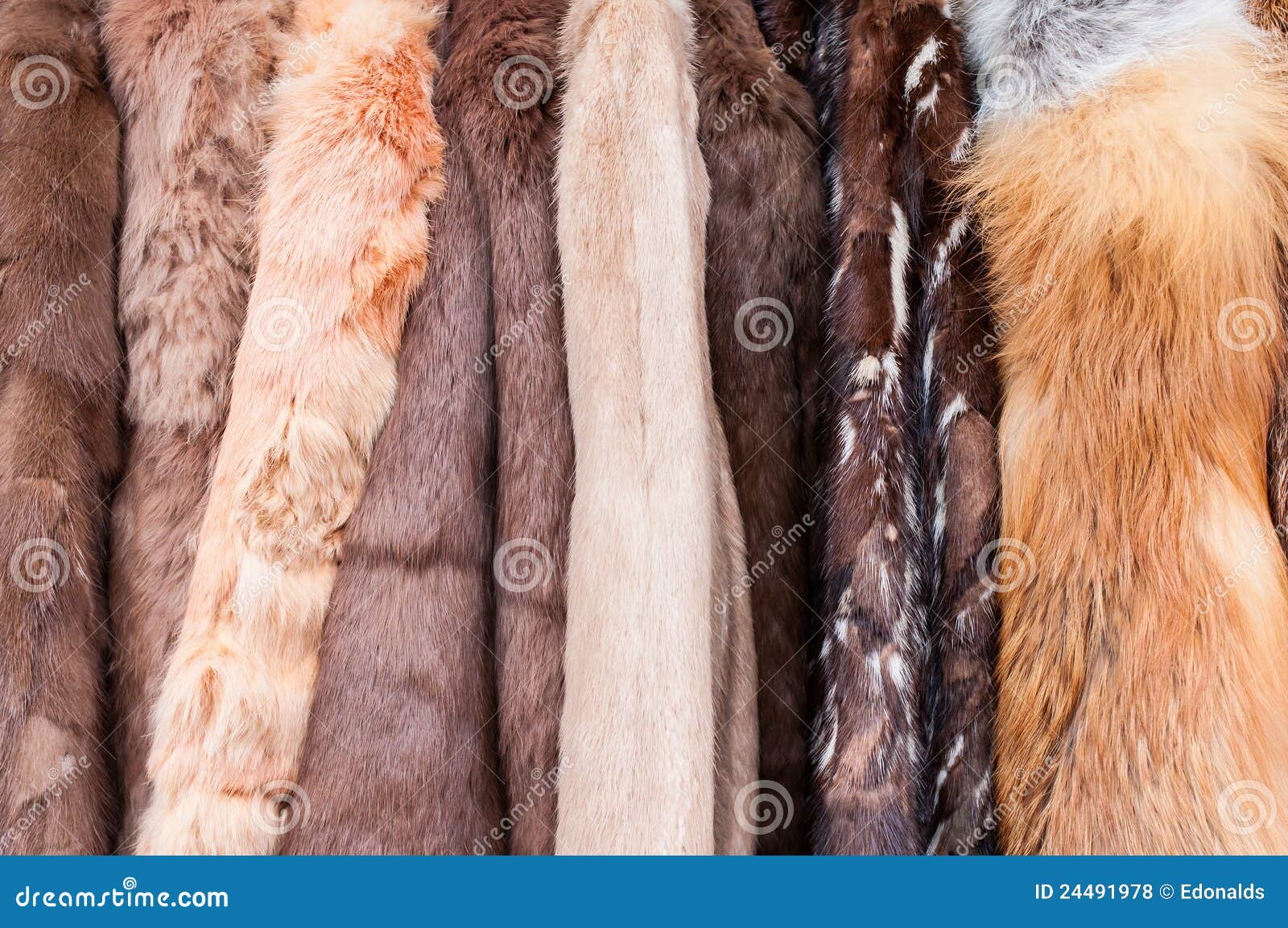 Fur Texture stock photo. Image of pelt, objects, coats - 24491978