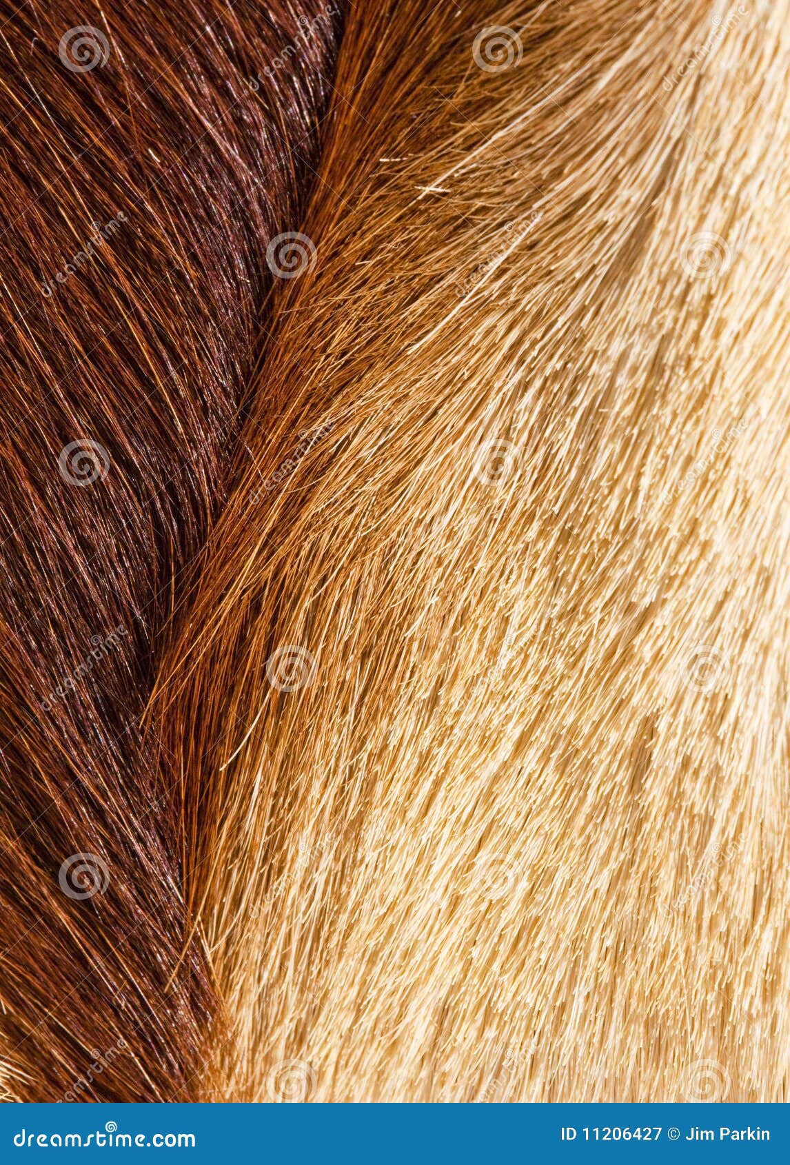 Fur textures stock image. Image of wallpaper, leather - 11206427