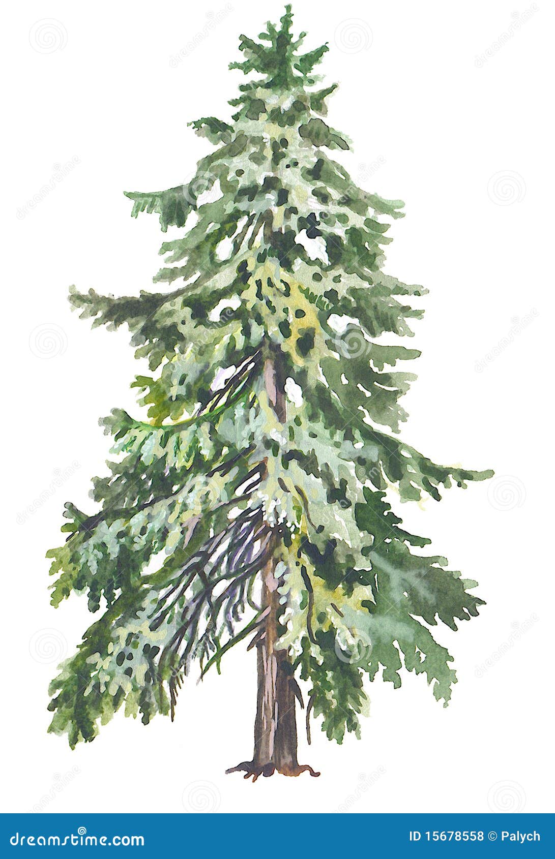 Fur-tree stock illustration. Illustration of tree, wood - 15678558