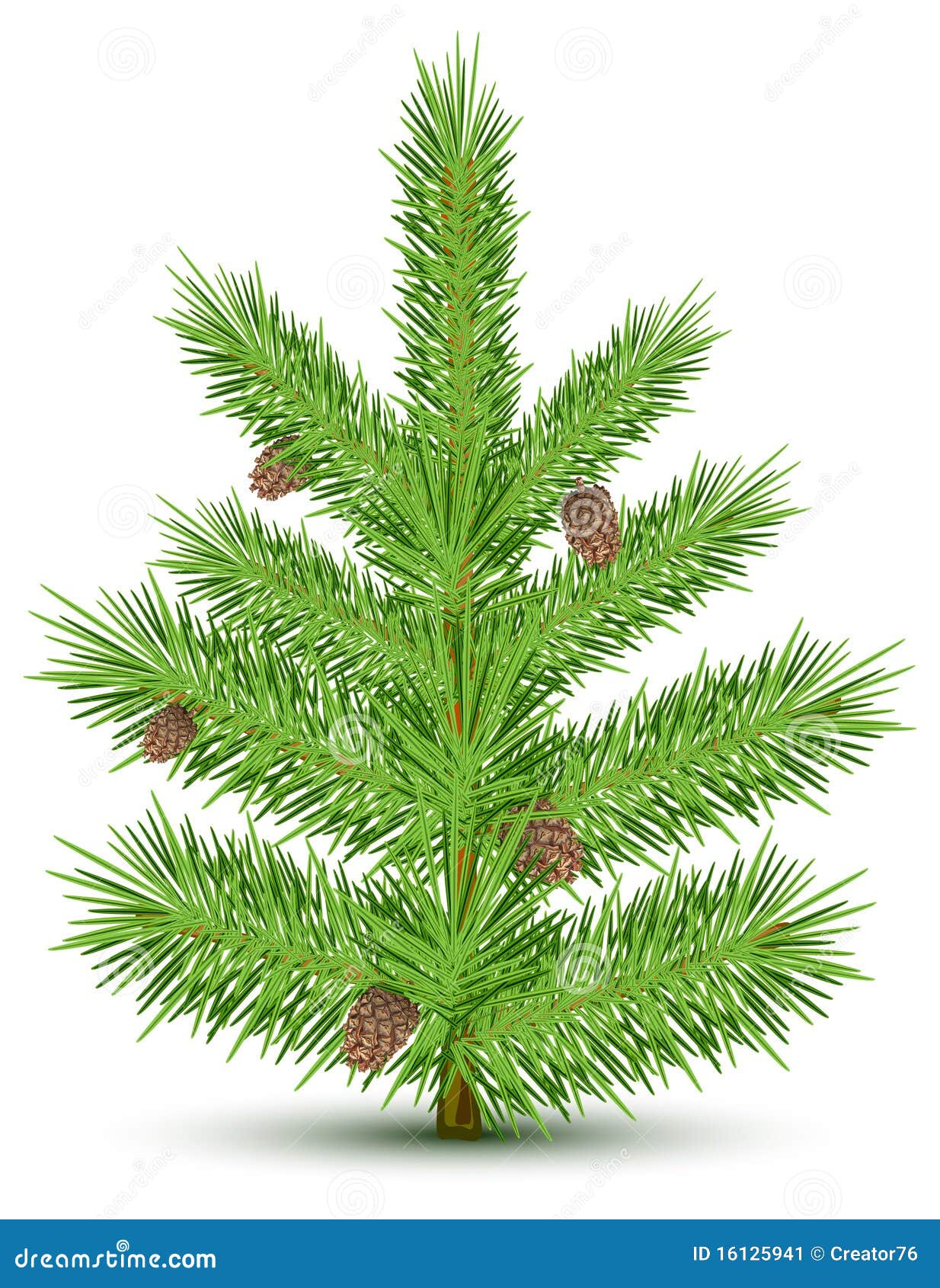 Fur-tree stock vector. Illustration of uncultivated, season - 16125941