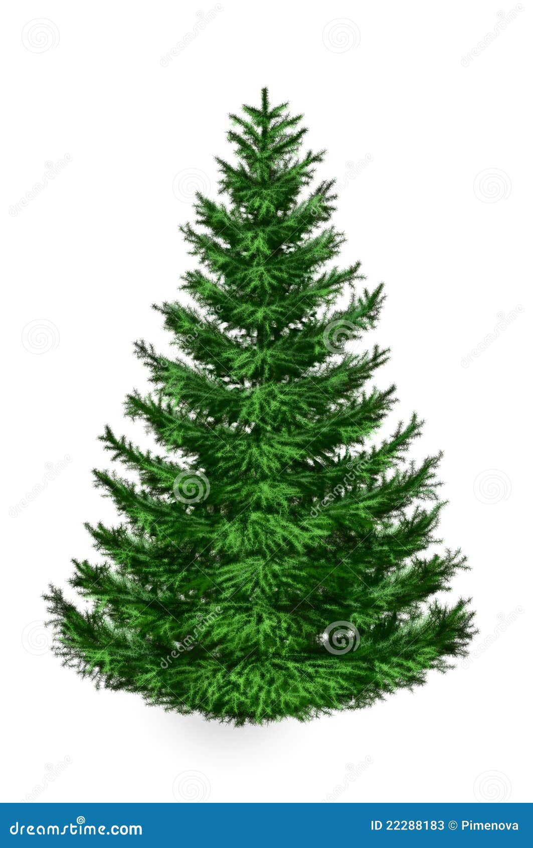 Fur-tree stock illustration. Illustration of january - 22288183