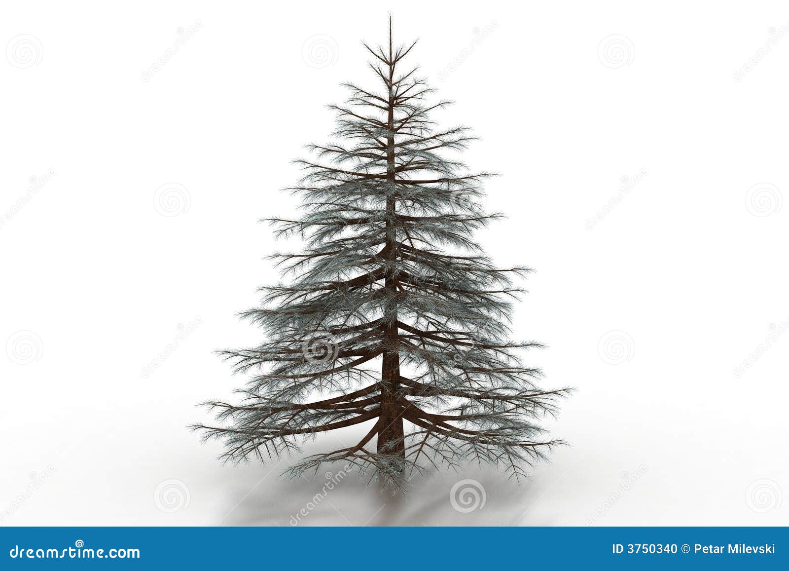Fur tree stock illustration. Illustration of coniferous - 3750340
