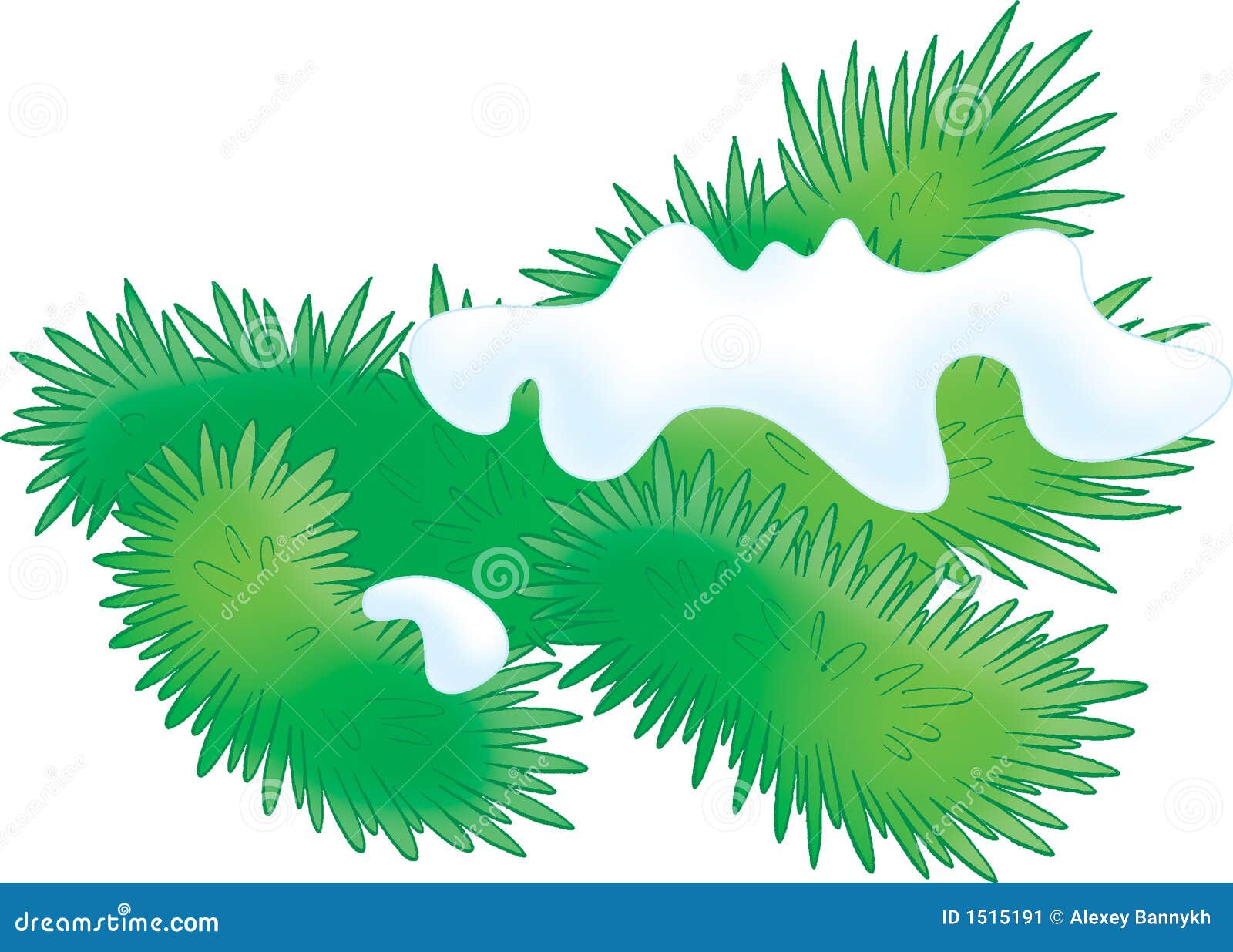 Fur-tree branch stock illustration. Illustration of tree - 1515191