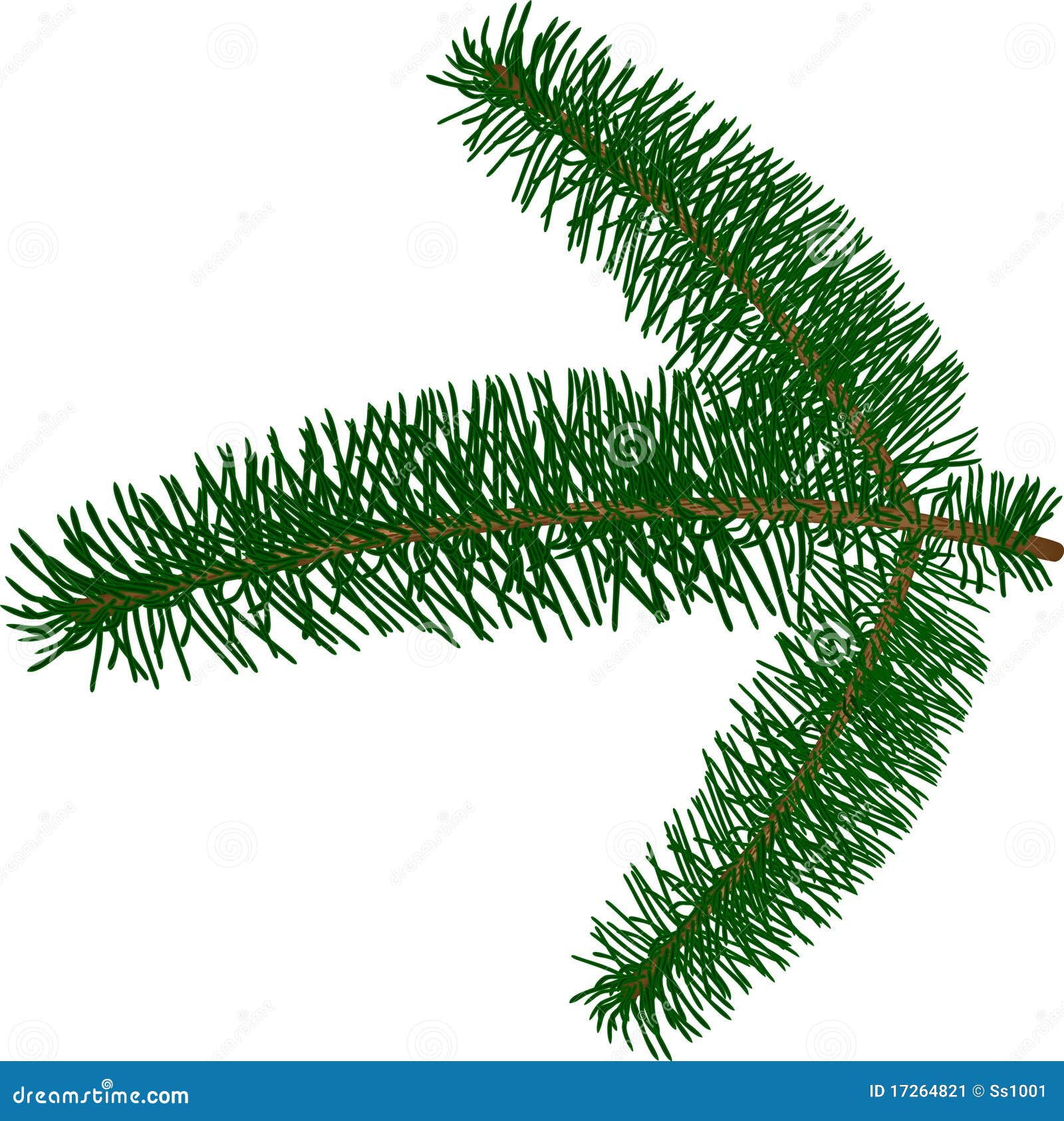 Fur-tree branch stock vector. Illustration of present - 17264821
