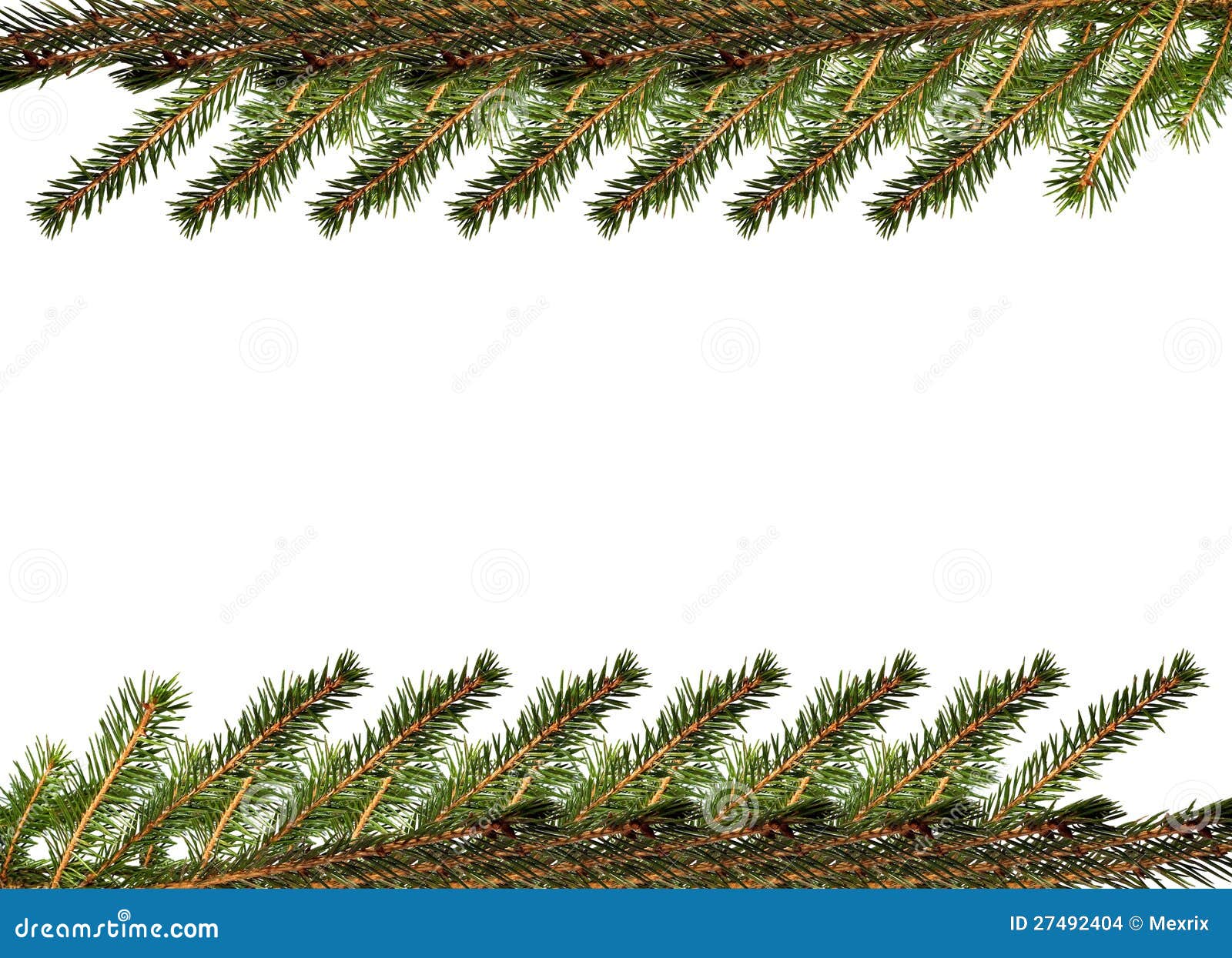 Fur-tree branch stock photo. Image of culture, isolate - 27492404