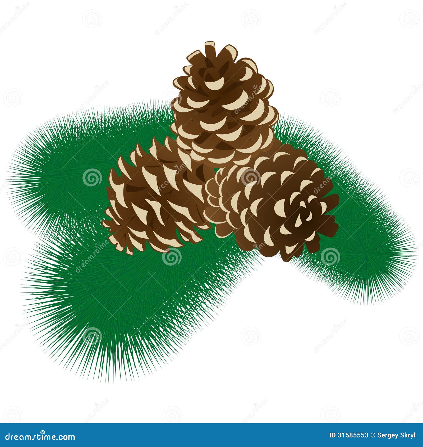 Fur-tree branch with cones stock vector. Illustration of decoration ...