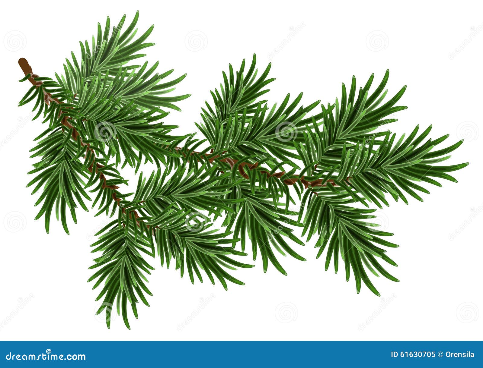 Fur-tree Branch. Green Fluffy Pine Branch Stock Vector - Illustration ...