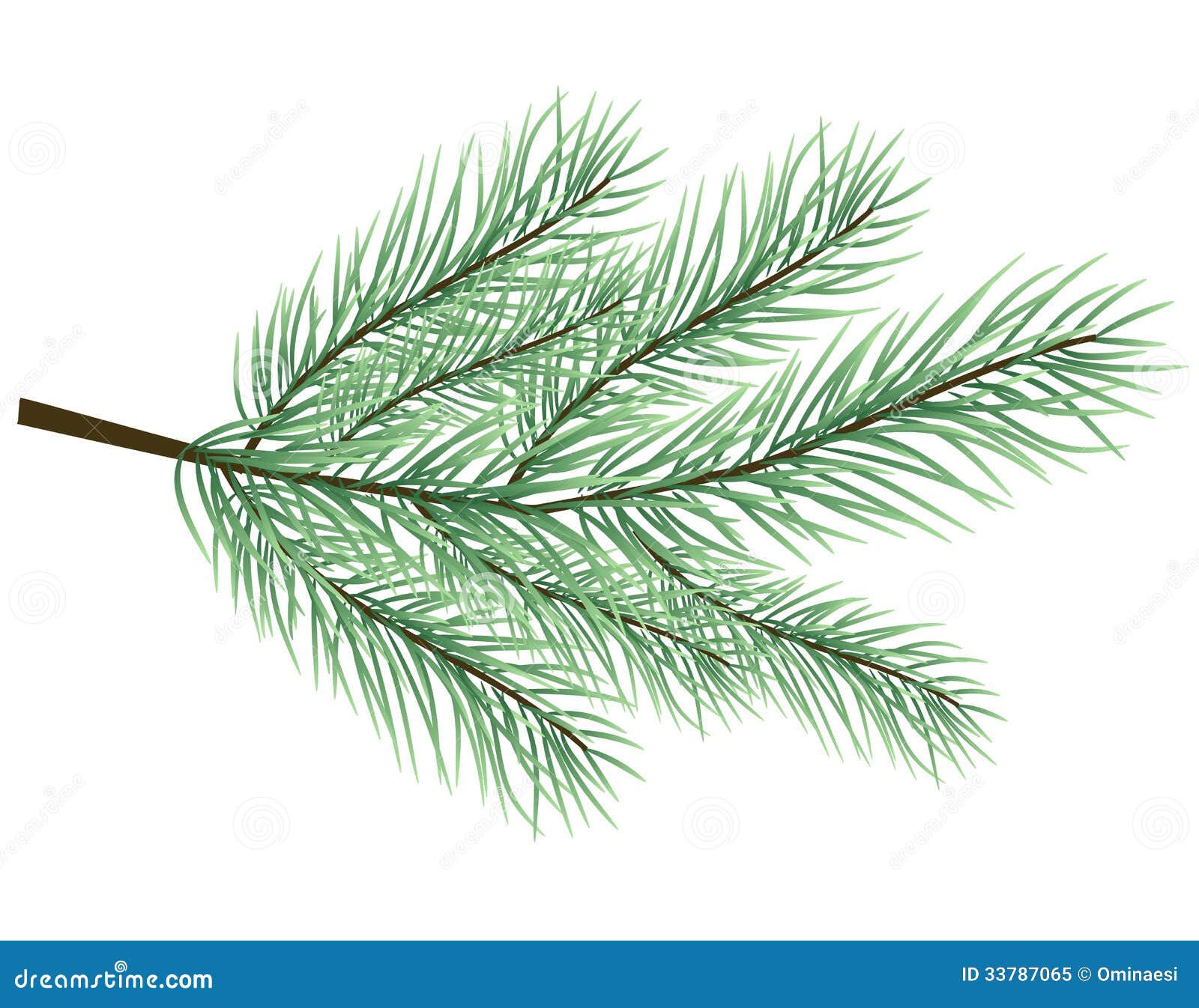 Fur-tree branch vector stock vector. Illustration of branch - 33787065