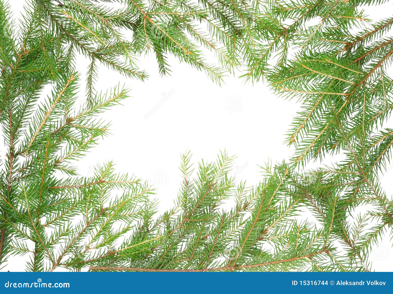 Fur-tree branches frame stock photo. Image of softness - 15316744