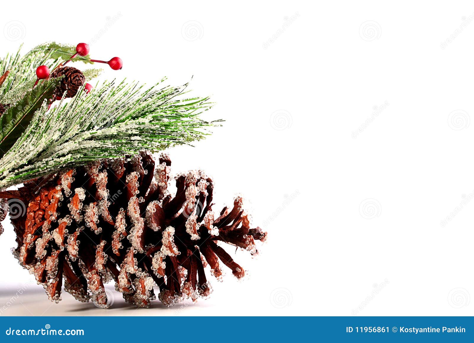 Fur-tree cone stock image. Image of season, decoration - 11956861