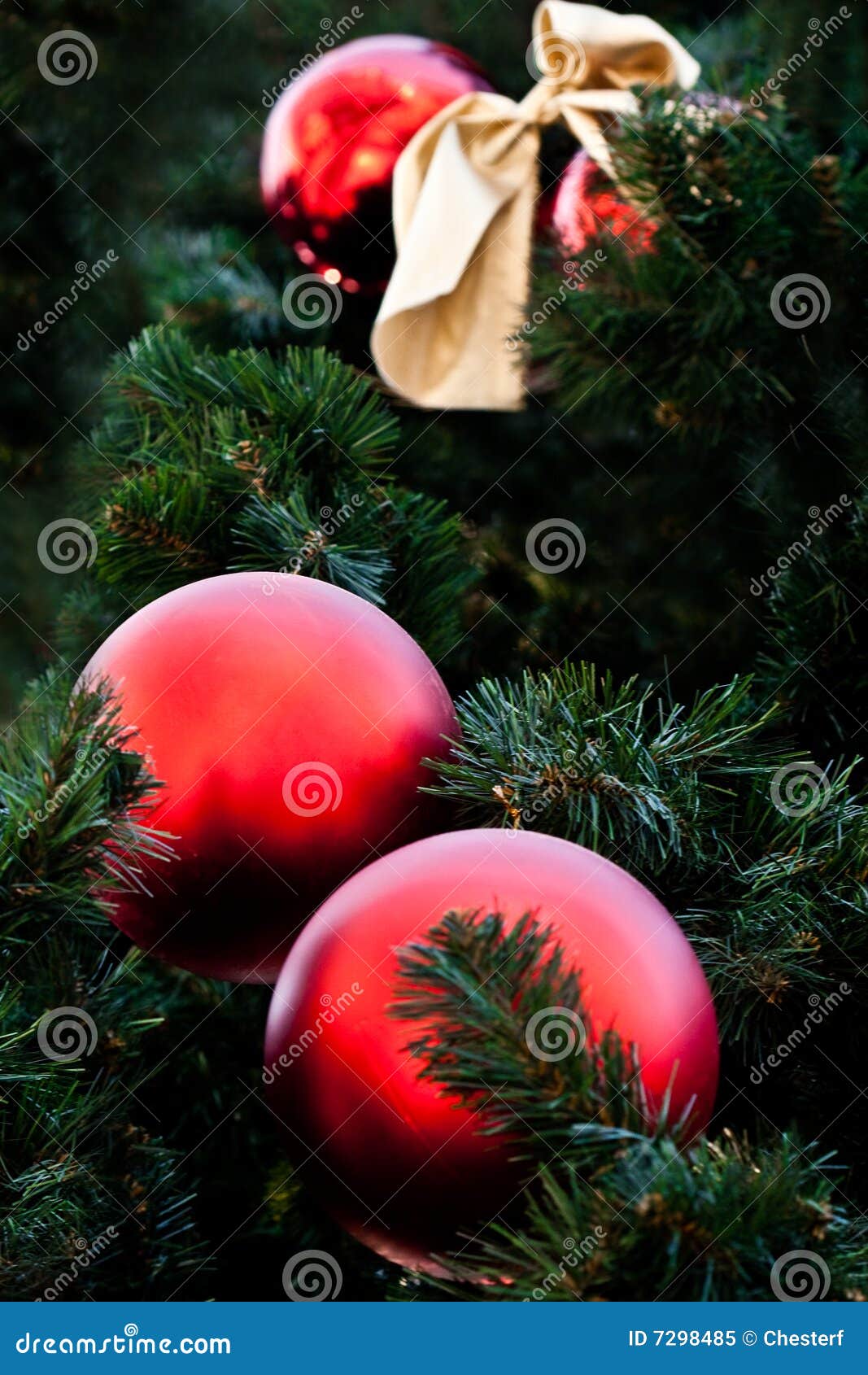 Fur-tree with red balls stock image. Image of spruce, branch - 7298485